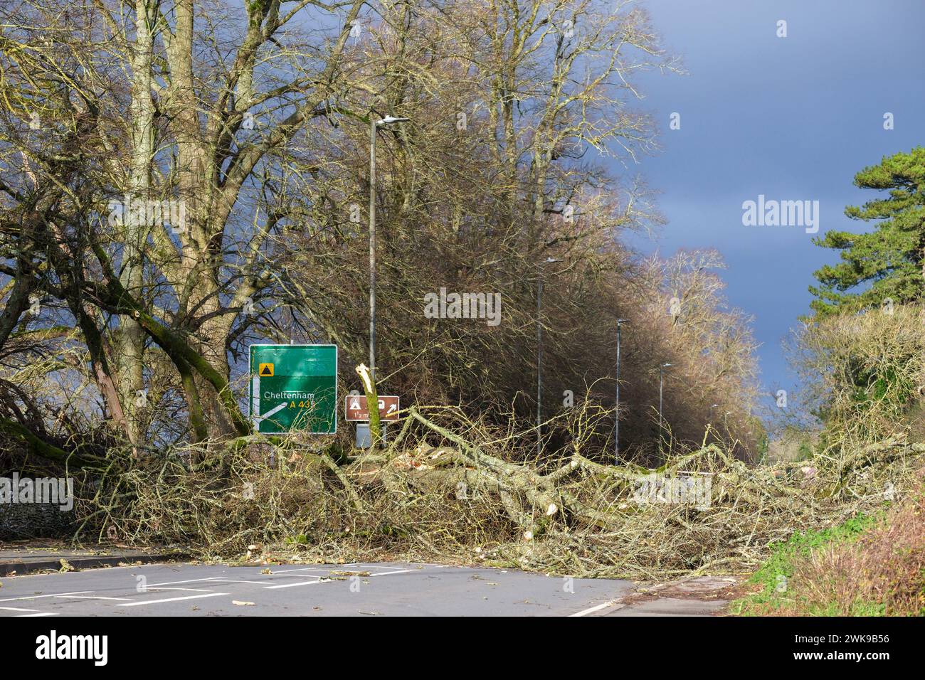 The A417 (A435) in Cirencester completely blocked buy a fallen tree ...
