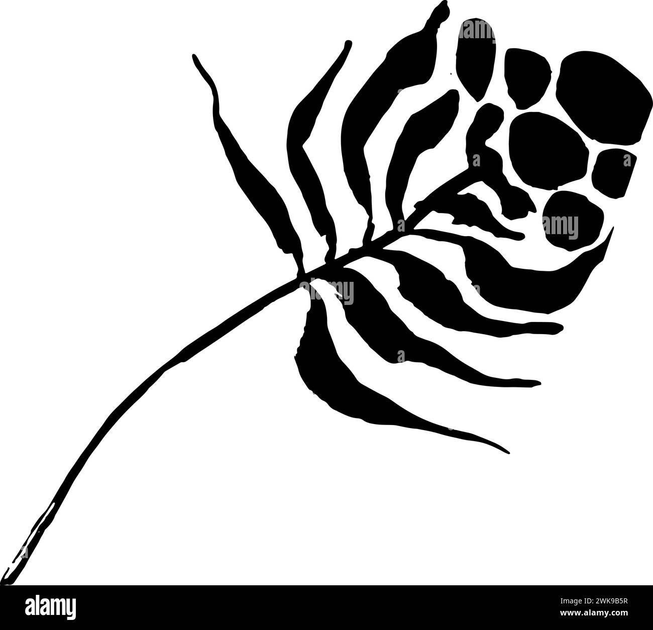 White fluffy wild flower Stock Vector Images - Alamy