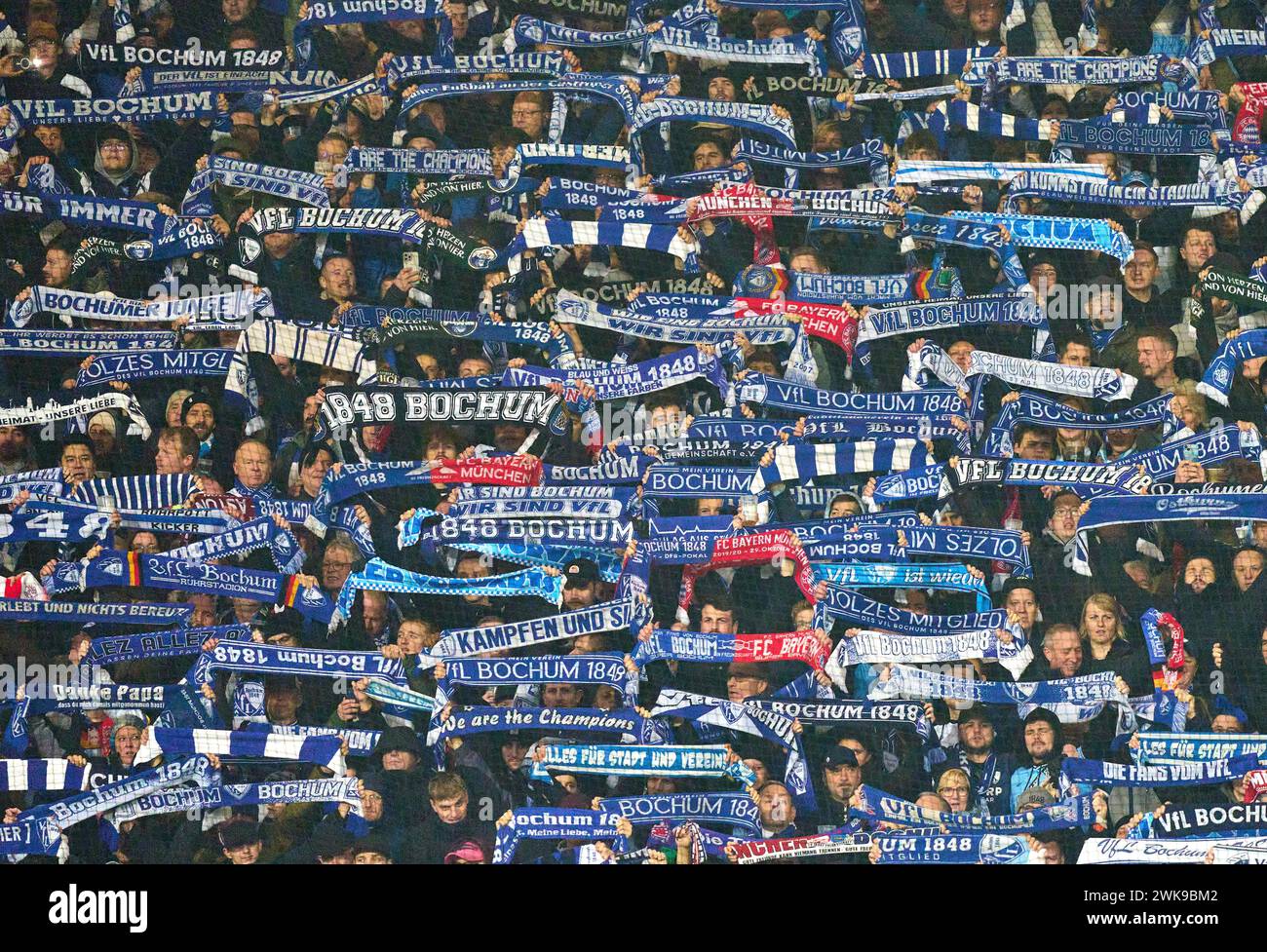 Vfl bochum fans hi-res stock photography and images - Alamy