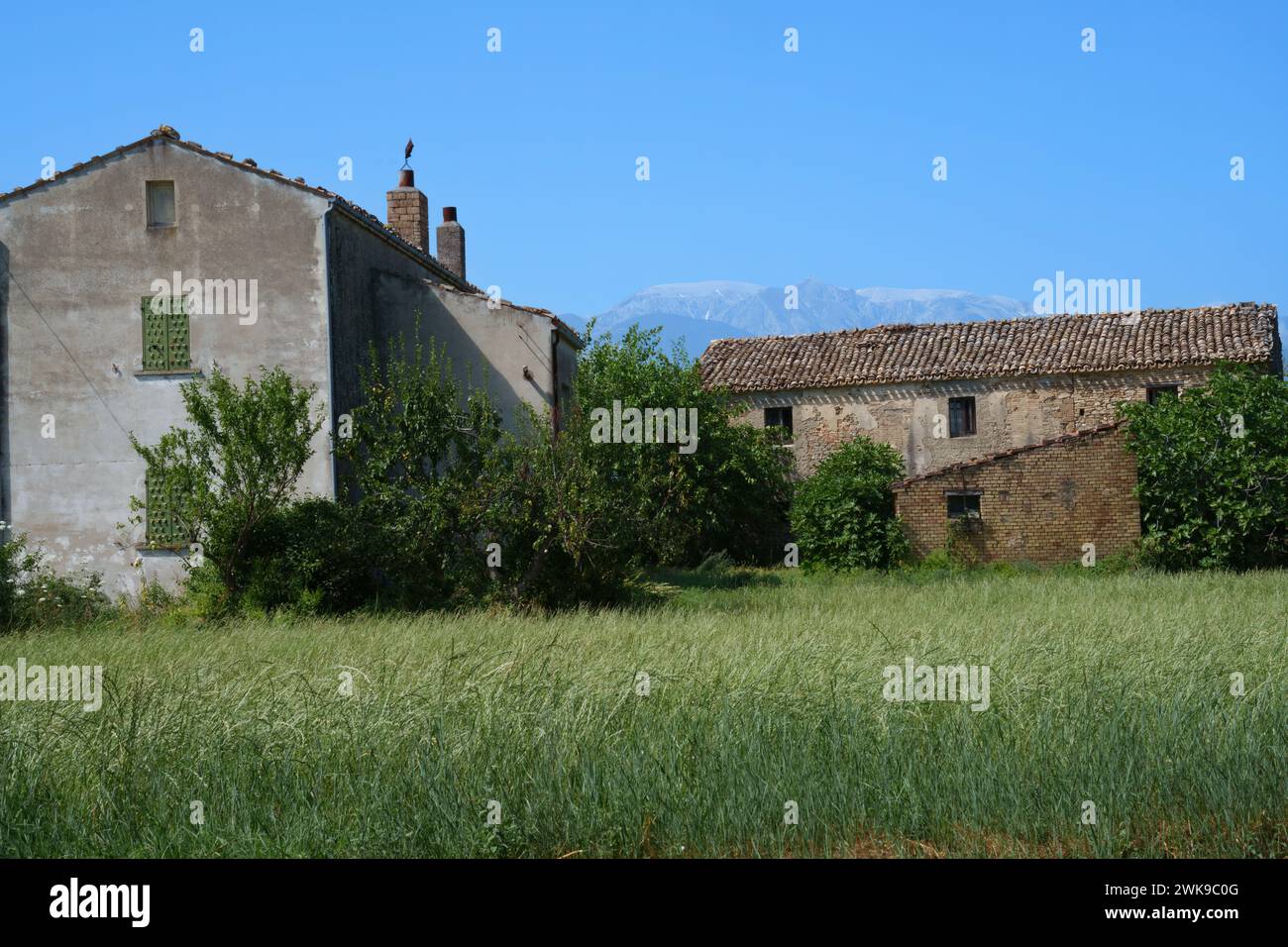 Country landscape near Orsogna and Bucchianico, Chieti province ...