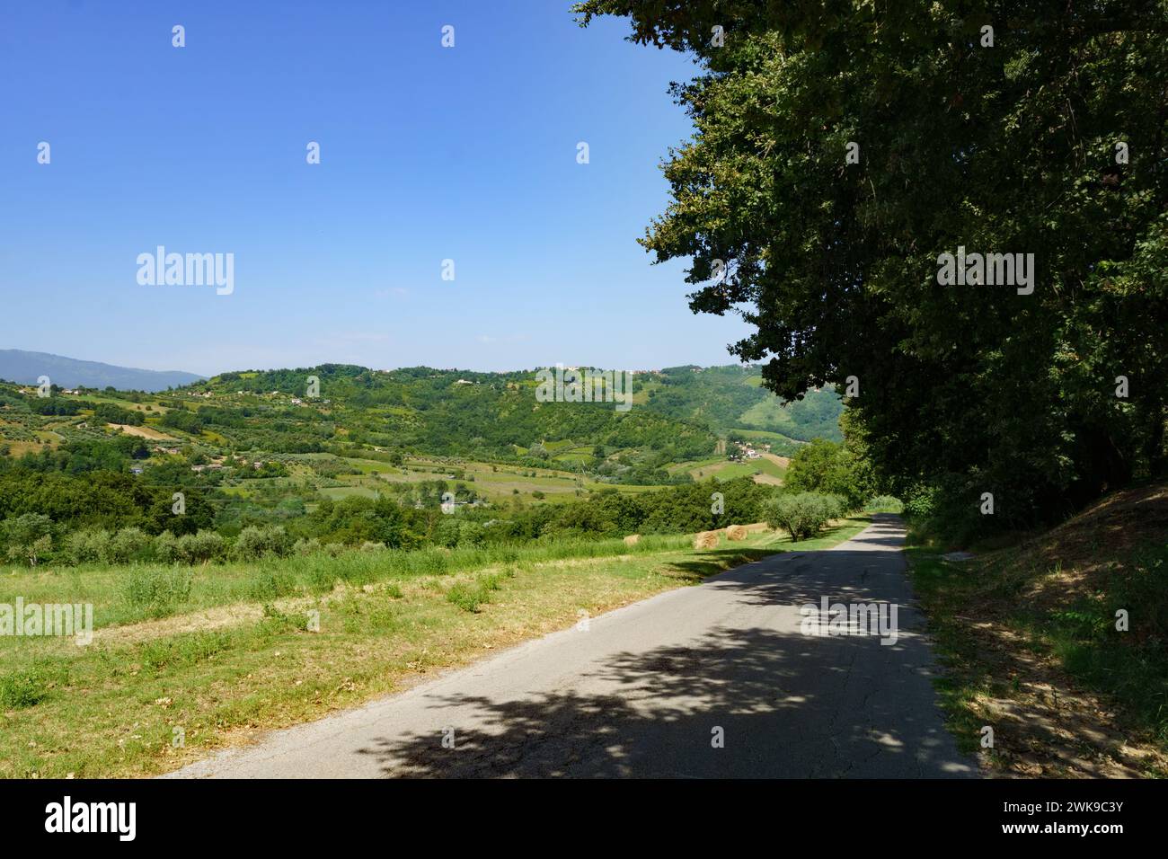Country landscape near Orsogna and Bucchianico, Chieti province ...