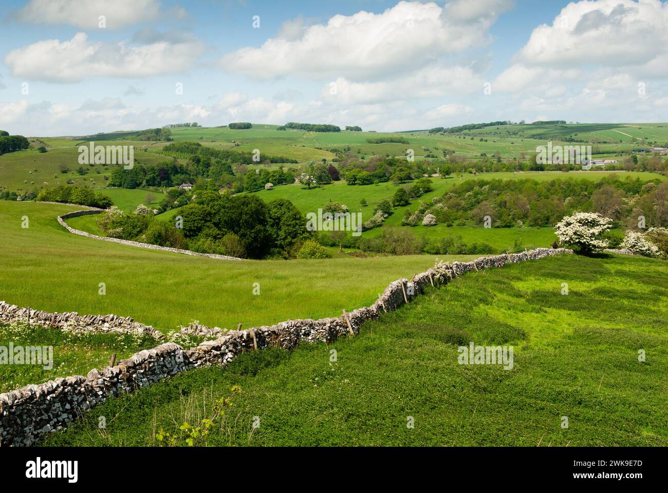 Dry stone walls and fields, Peak District, Derbyshire, England, United ...