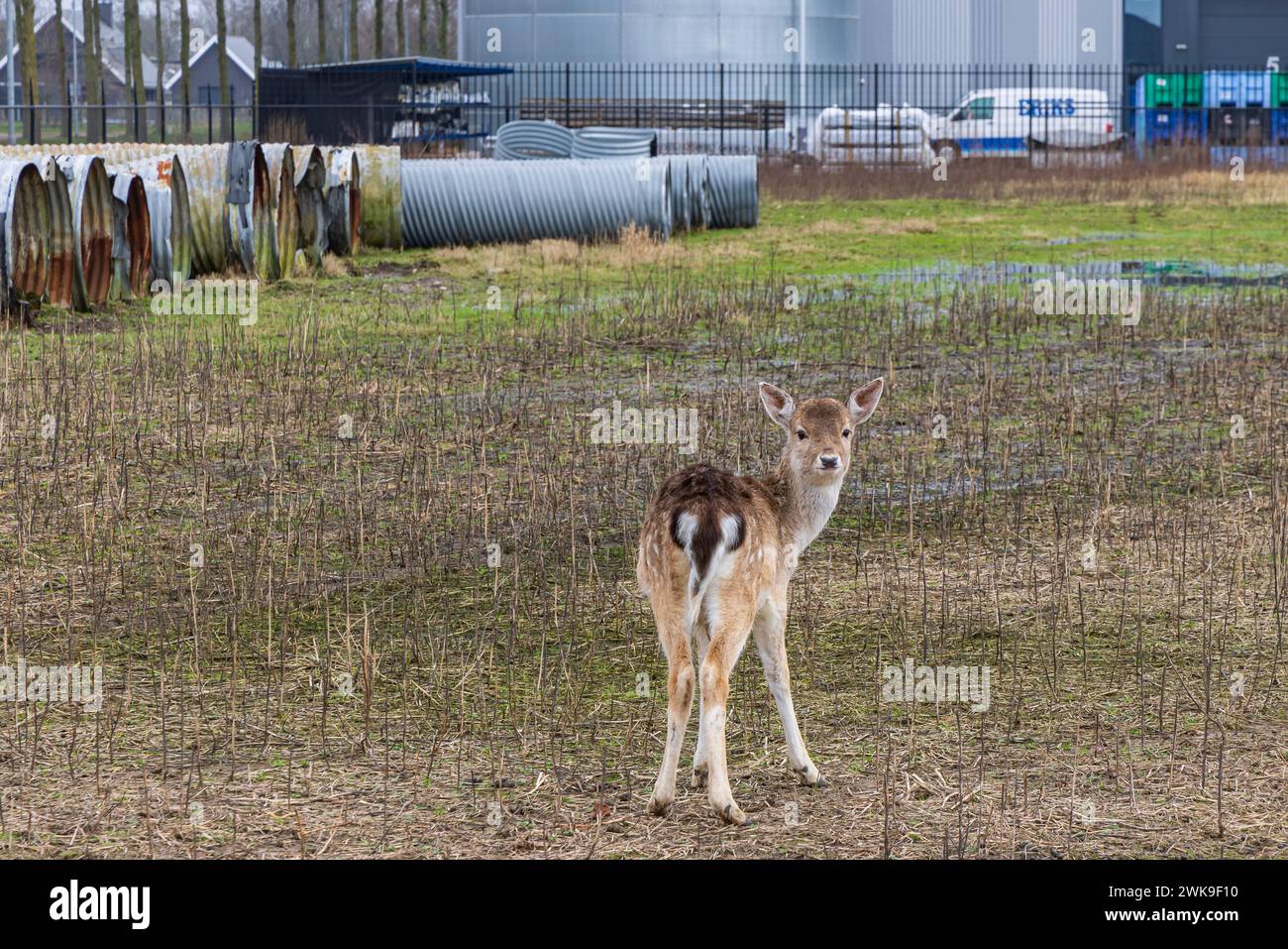 Nature inclusive farming hi-res stock photography and images - Alamy