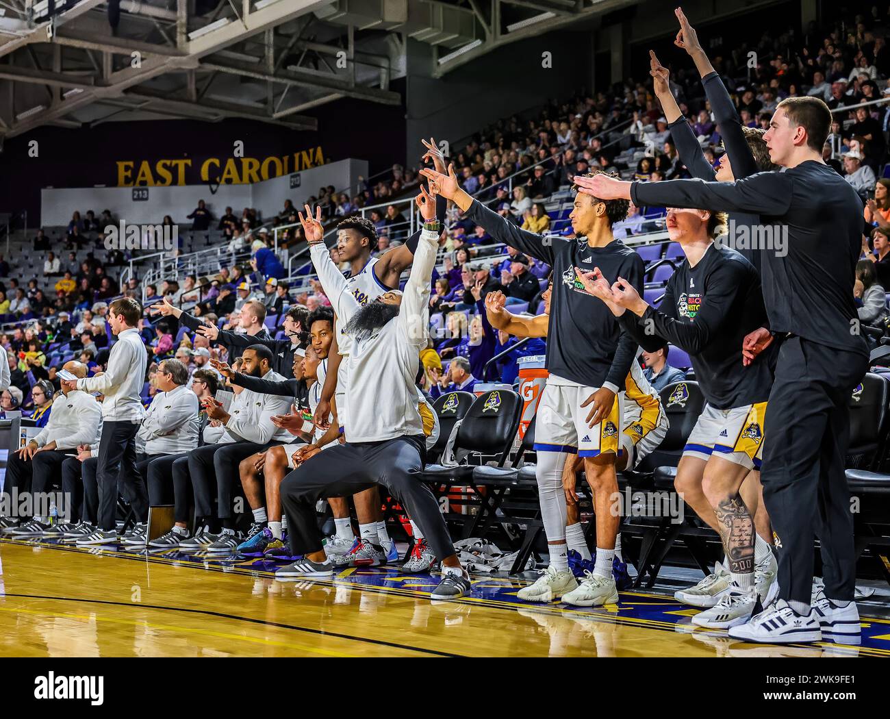 Williams arena at minges coliseum hi-res stock photography and images ...