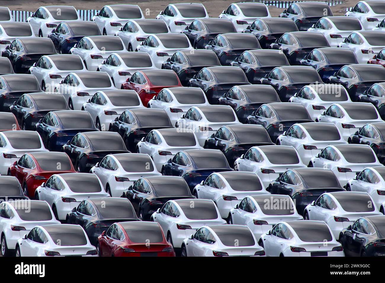 Multiple lines of imported Tesla sedans stored on the quayside at ...