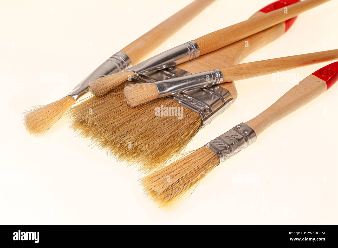 Brushes with white hairs and different calibers in a horizontal ...