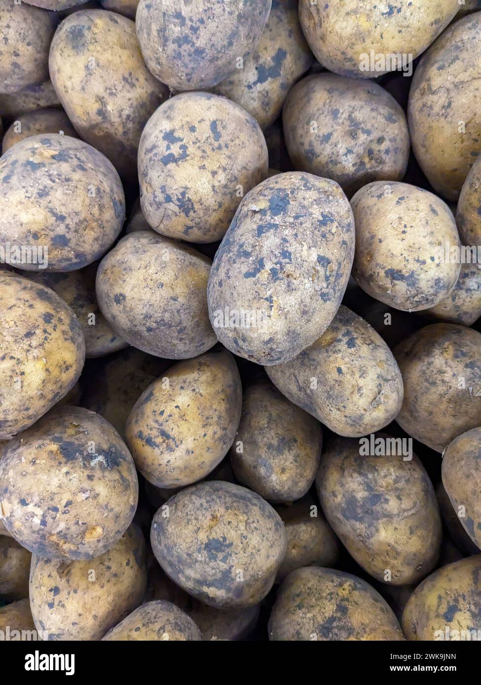 Pile of organic farm potatoes at vegetable market Stock Photo - Alamy