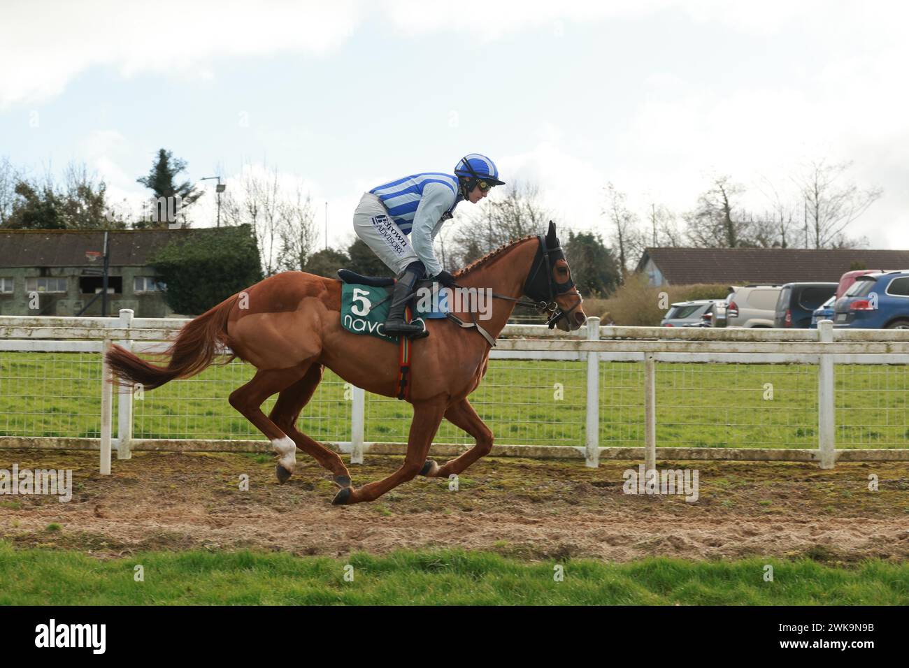 Gaucher with Paul Townend canters to the start of The Navan Ford & Opel ...