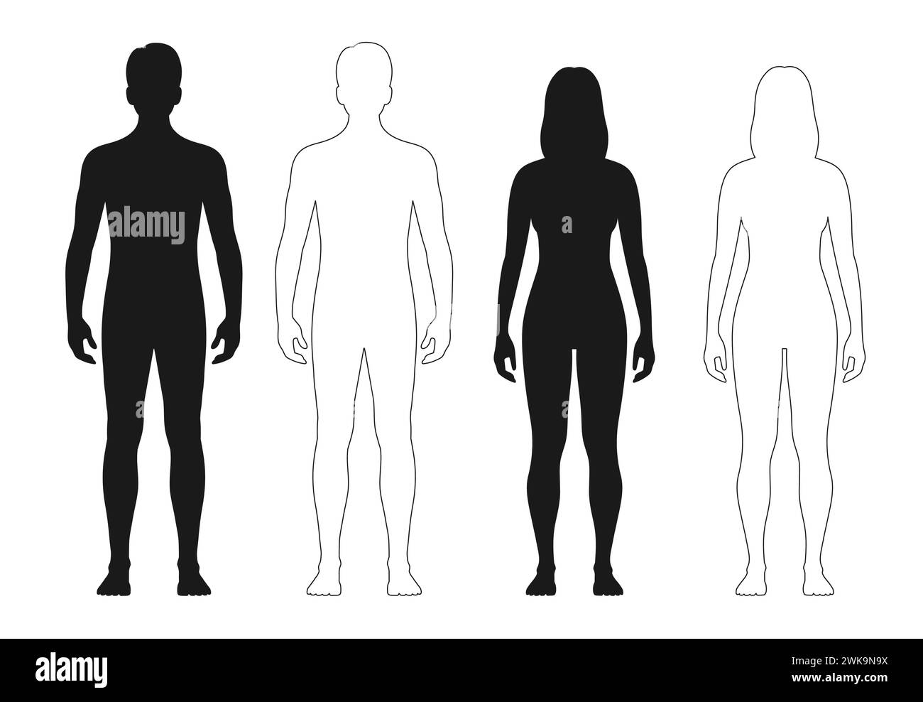 Human body silhouette, man and woman outline figure or patient front ...