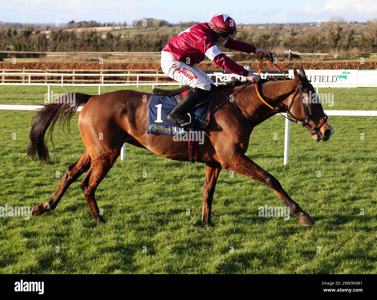 Favori de champdou racecourse hi-res stock photography and images - Alamy