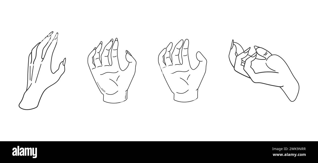 Set of elegant beautiful female hands with nails. Hand drawn doodles ...