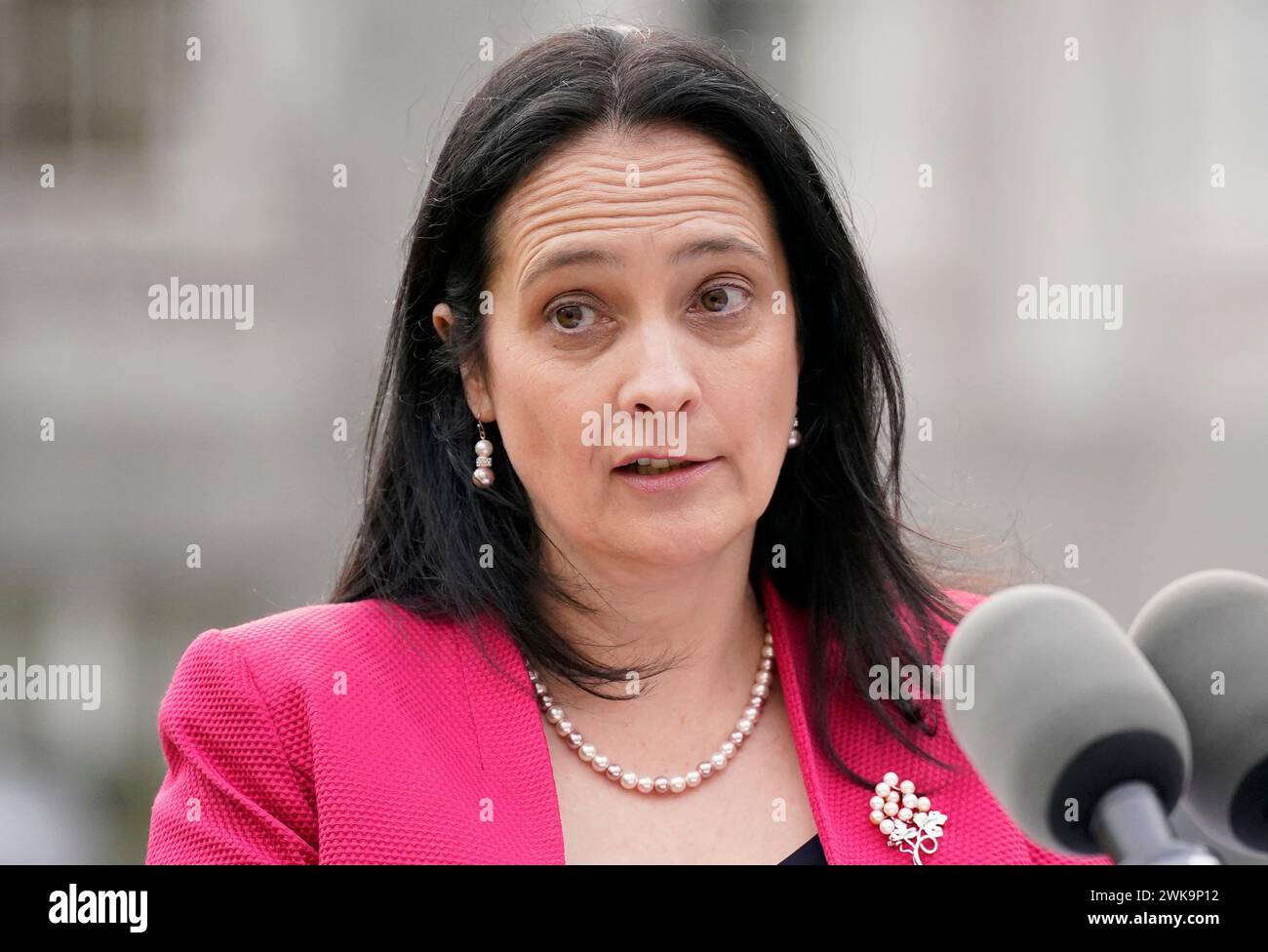 Culture Minister Catherine Martin speaking at Government Buildings ...