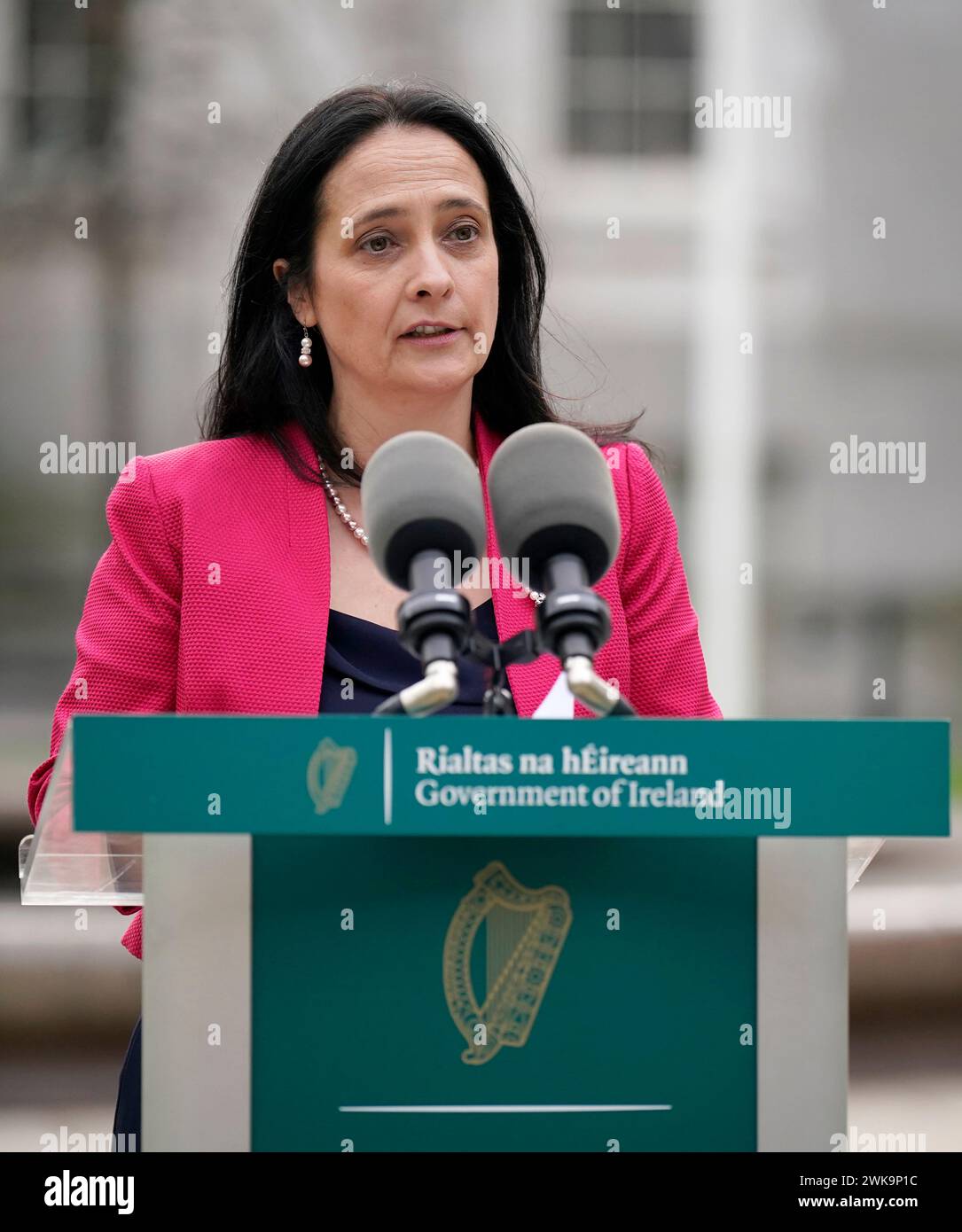 Culture Minister Catherine Martin speaking at Government Buildings ...