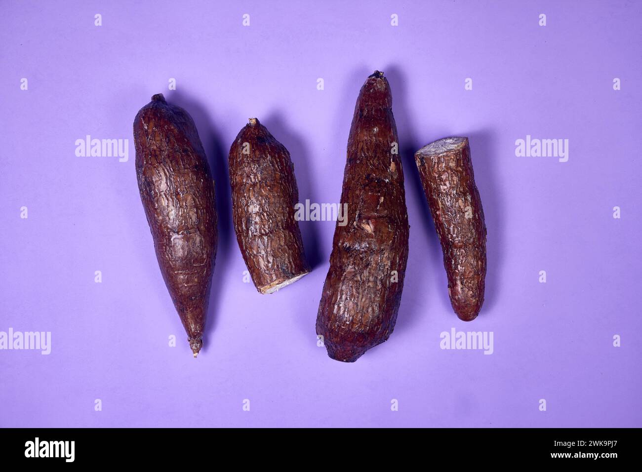 Fresh Organic Cassava Root, Manioc Esculenta, yuca On purple Background ...