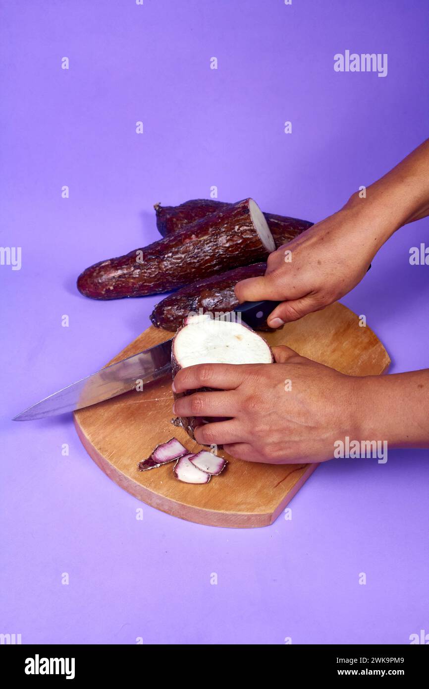 Fresh Organic Cassava Root, Manioc Esculenta, yuca On purple Background ...