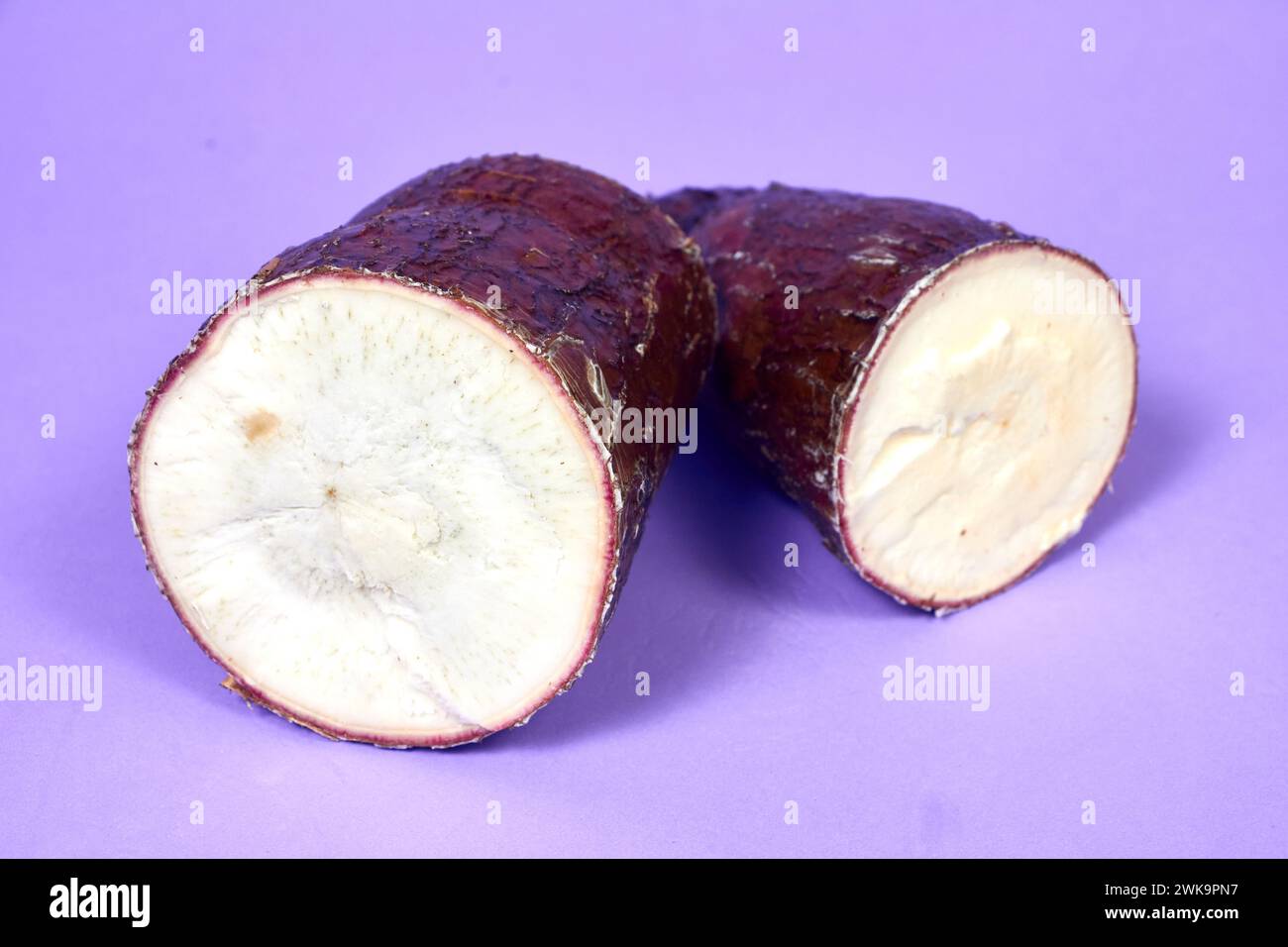 Fresh Organic Cassava Root, Manioc Esculenta, yuca On purple Background ...