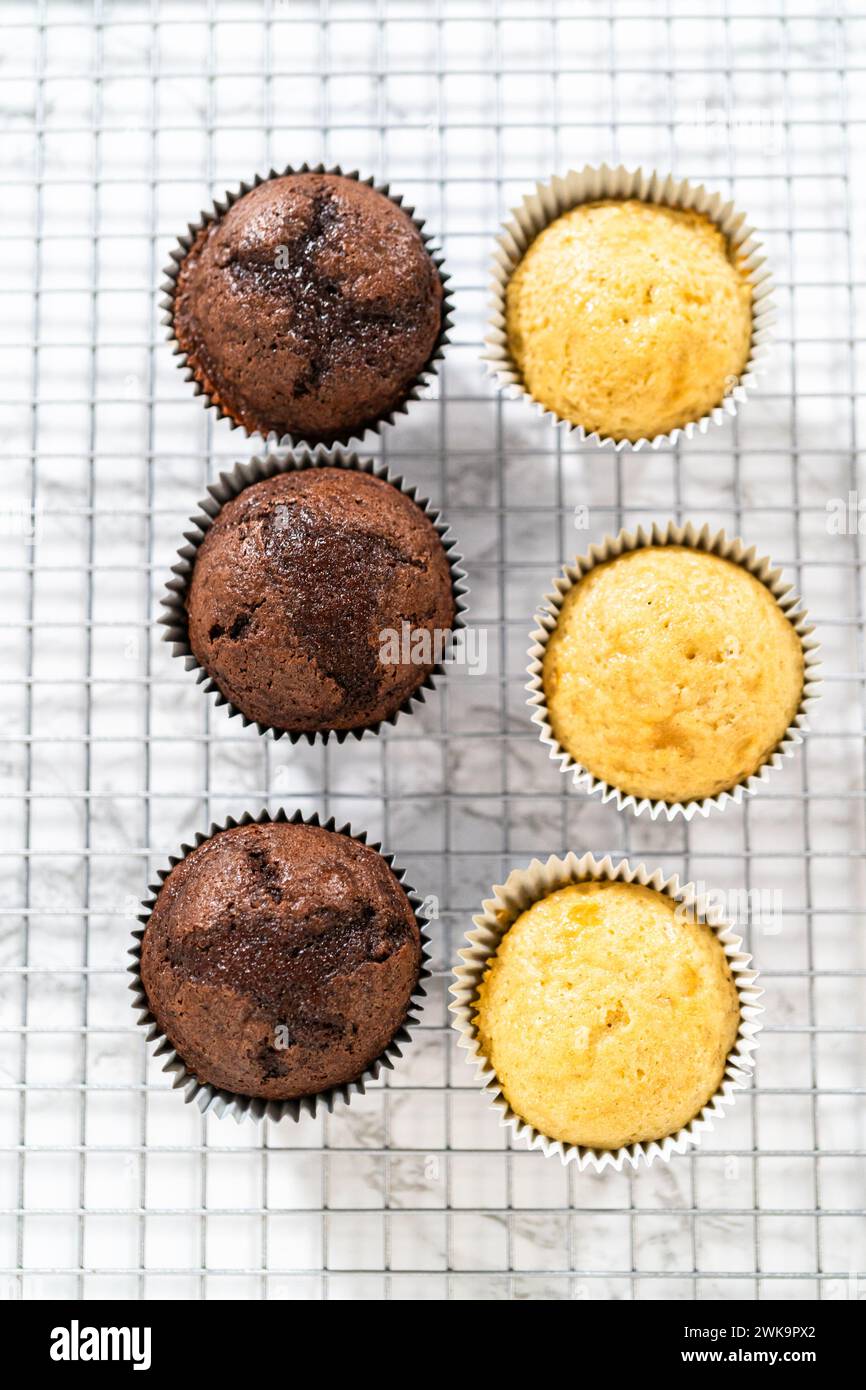 Creating Extravagant Cupcakes for Birthday Celebration Stock Photo - Alamy