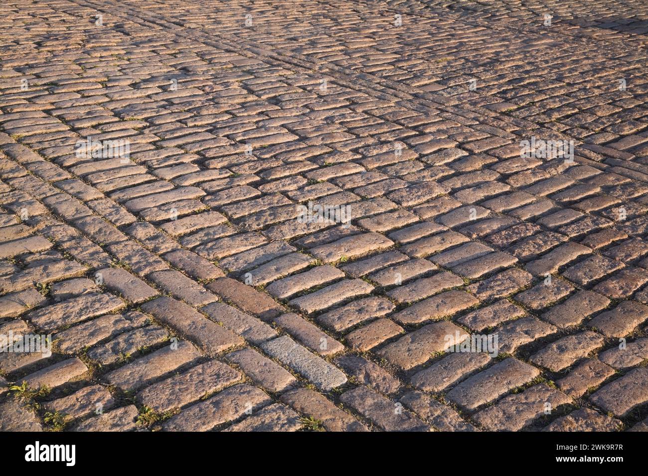 Close-up of rectangular tan and brown cobble style paving stones in ...