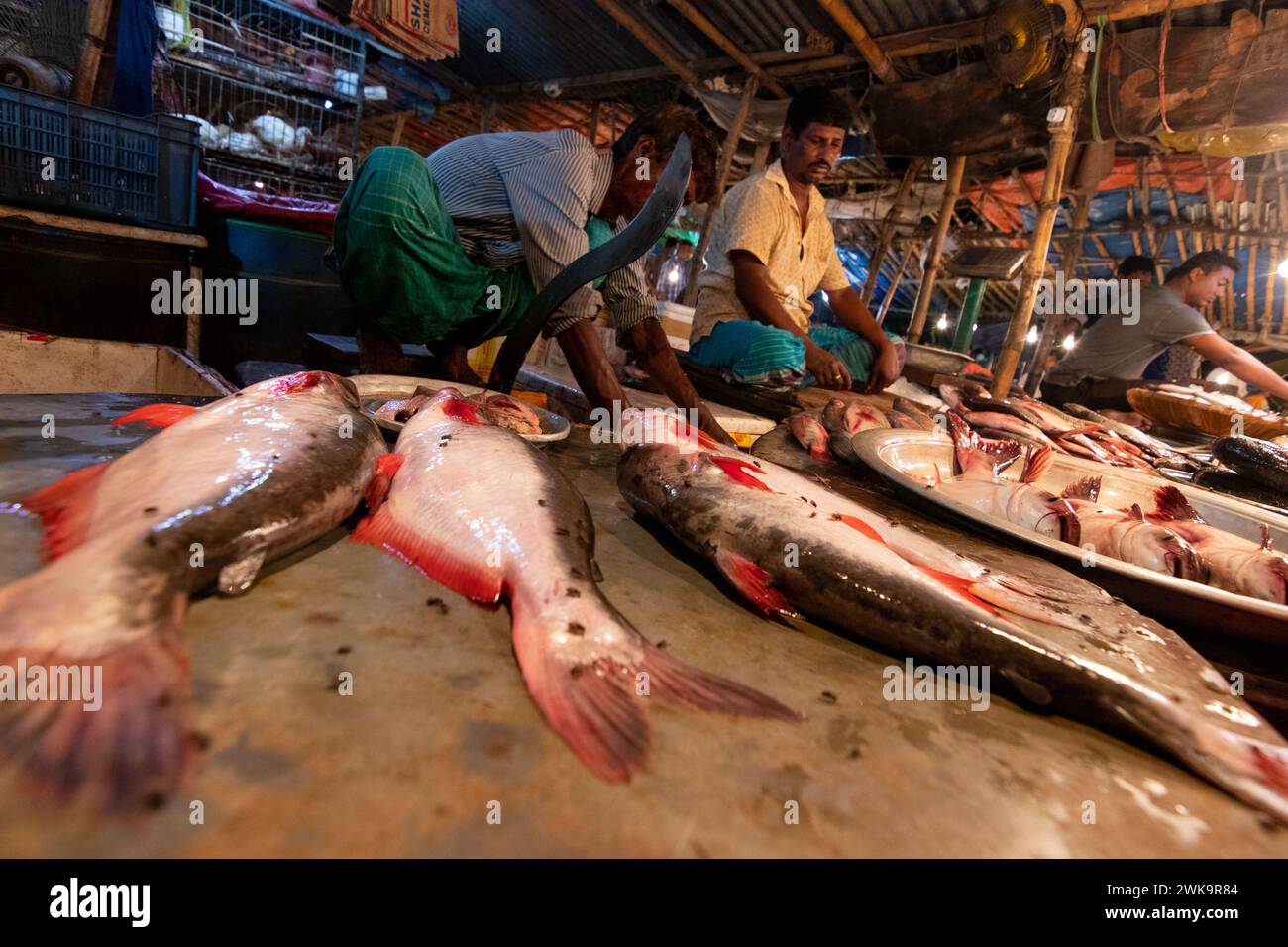 Fish market in dhaka bangladesh hi-res stock photography and images - Alamy