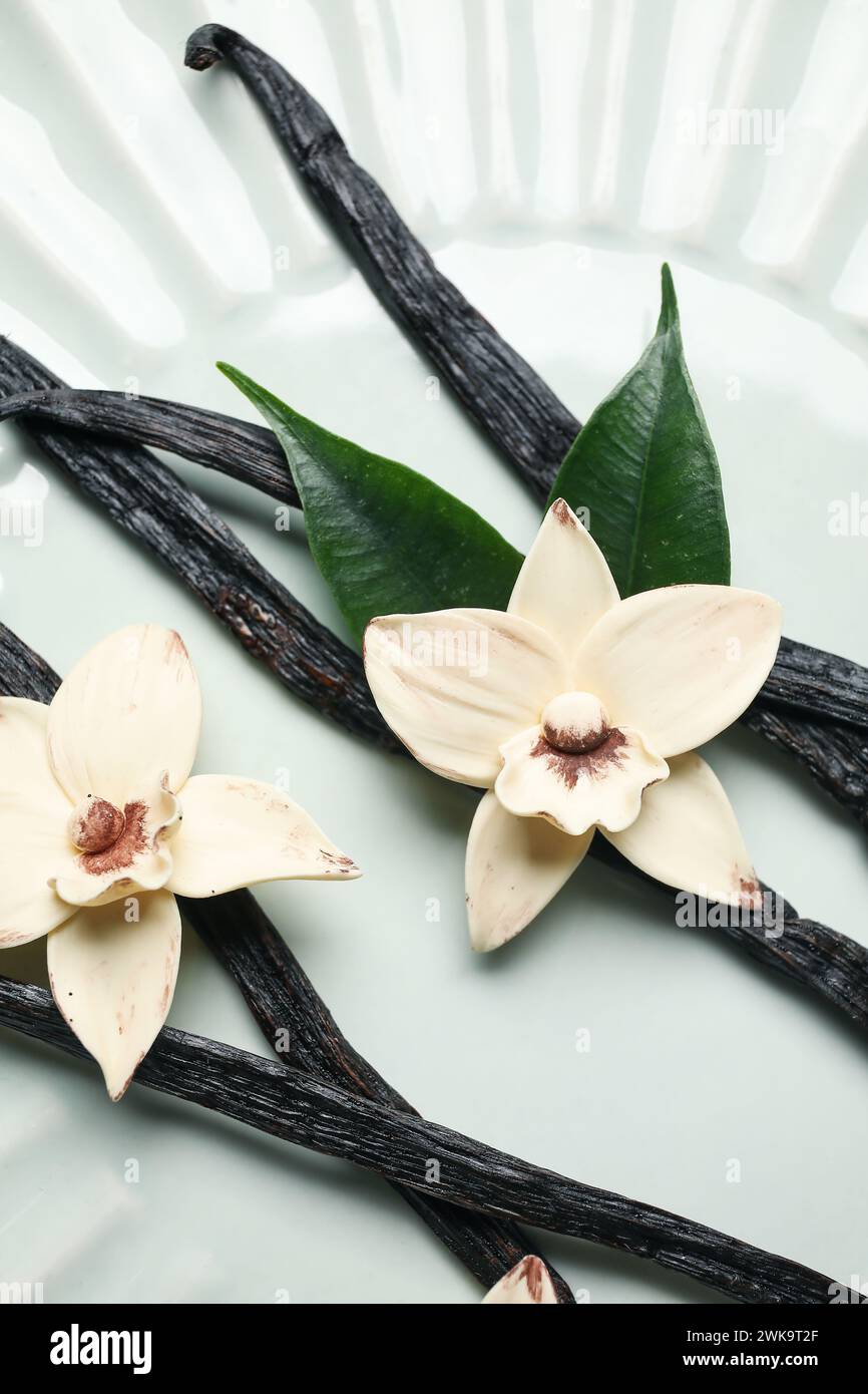 Aromatic vanilla sticks and flowers on white background Stock Photo - Alamy