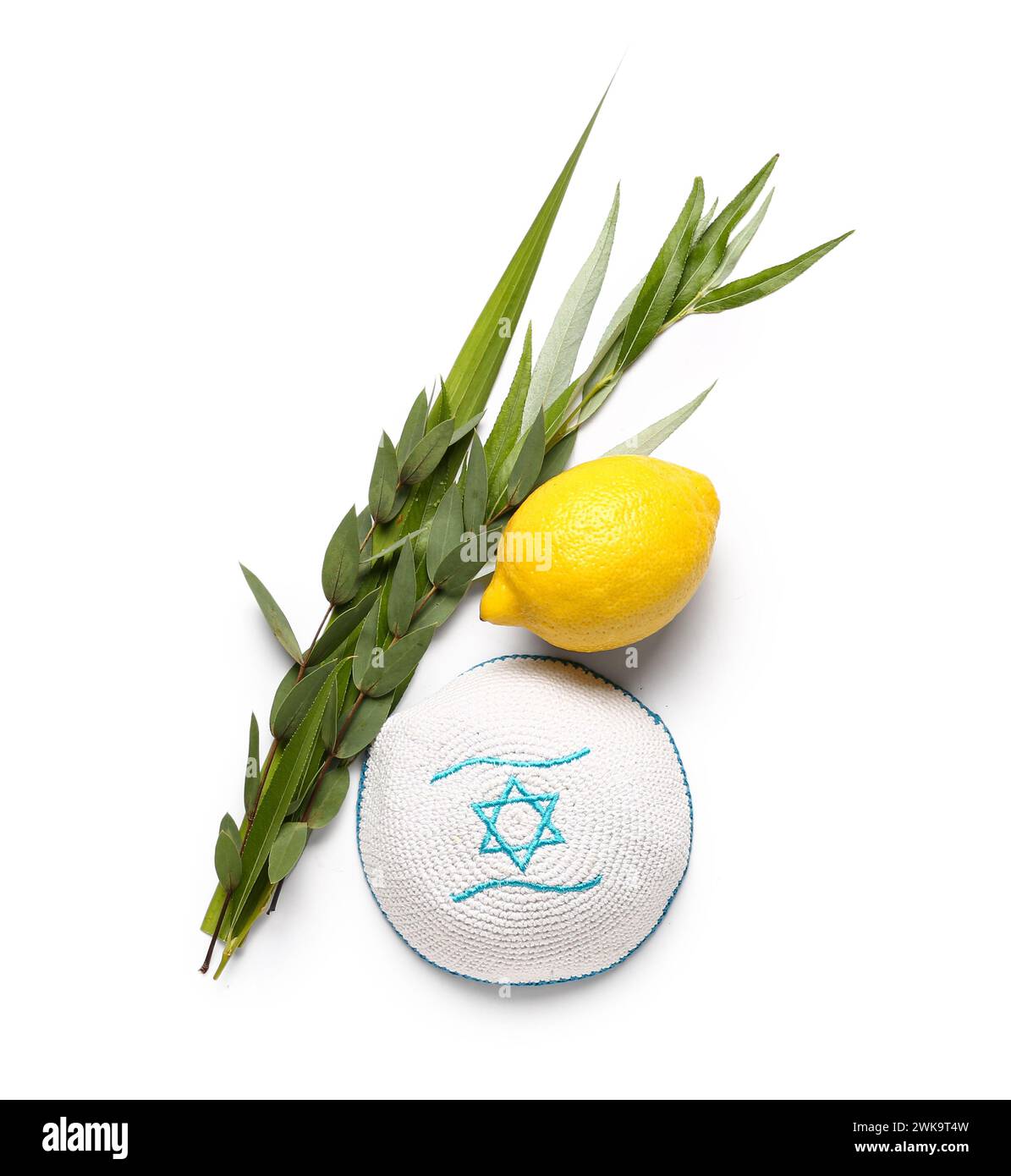 Four species (lulav, hadas, arava, etrog) as Sukkot festival symbols ...