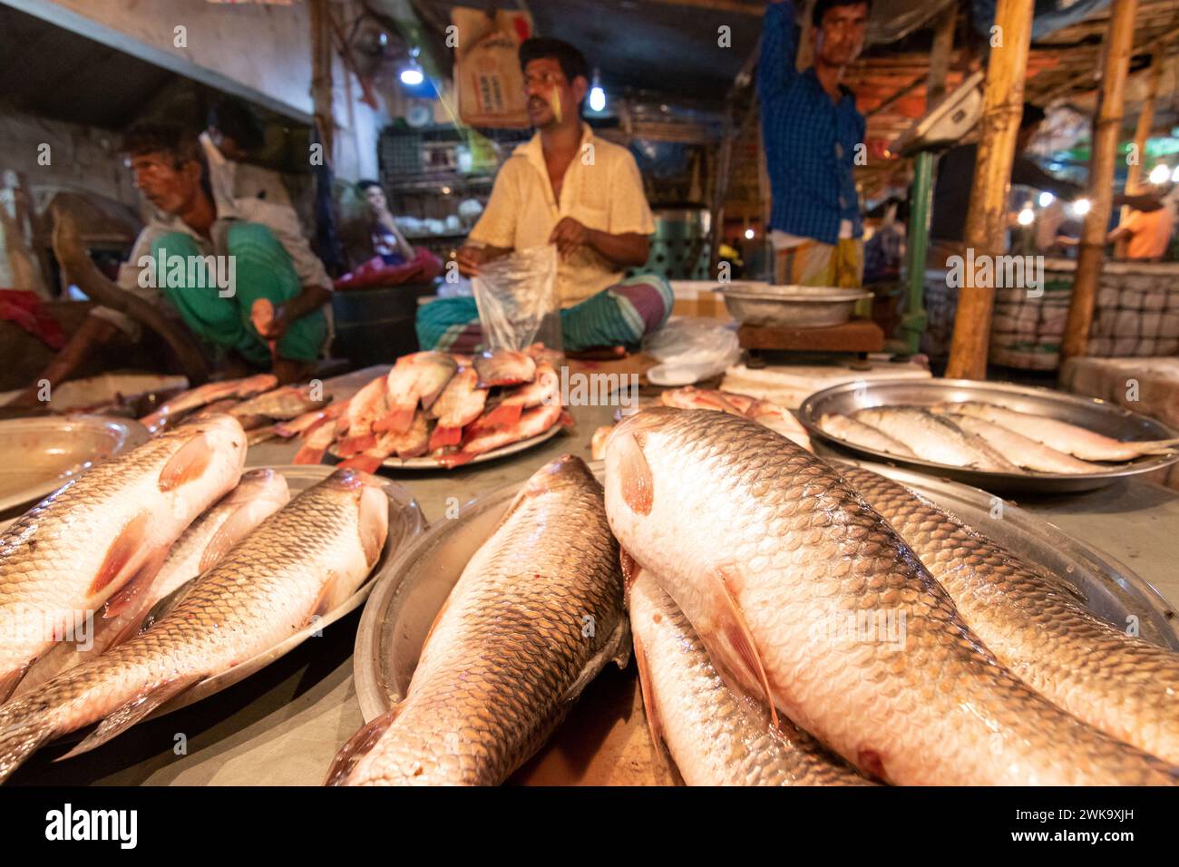 Fish market in dhaka bangladesh hi-res stock photography and images - Alamy