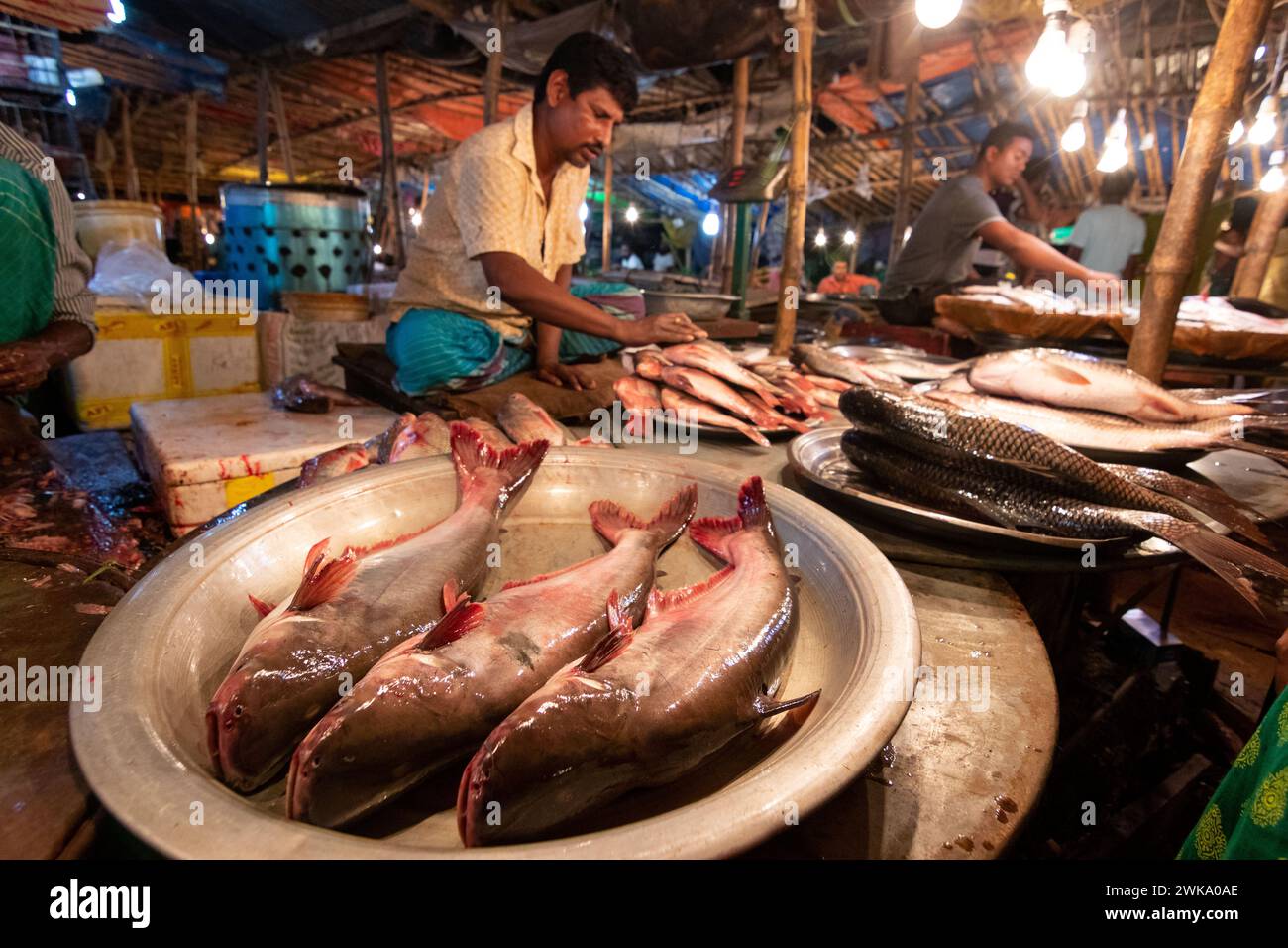 Fish market in dhaka bangladesh hi-res stock photography and images - Alamy