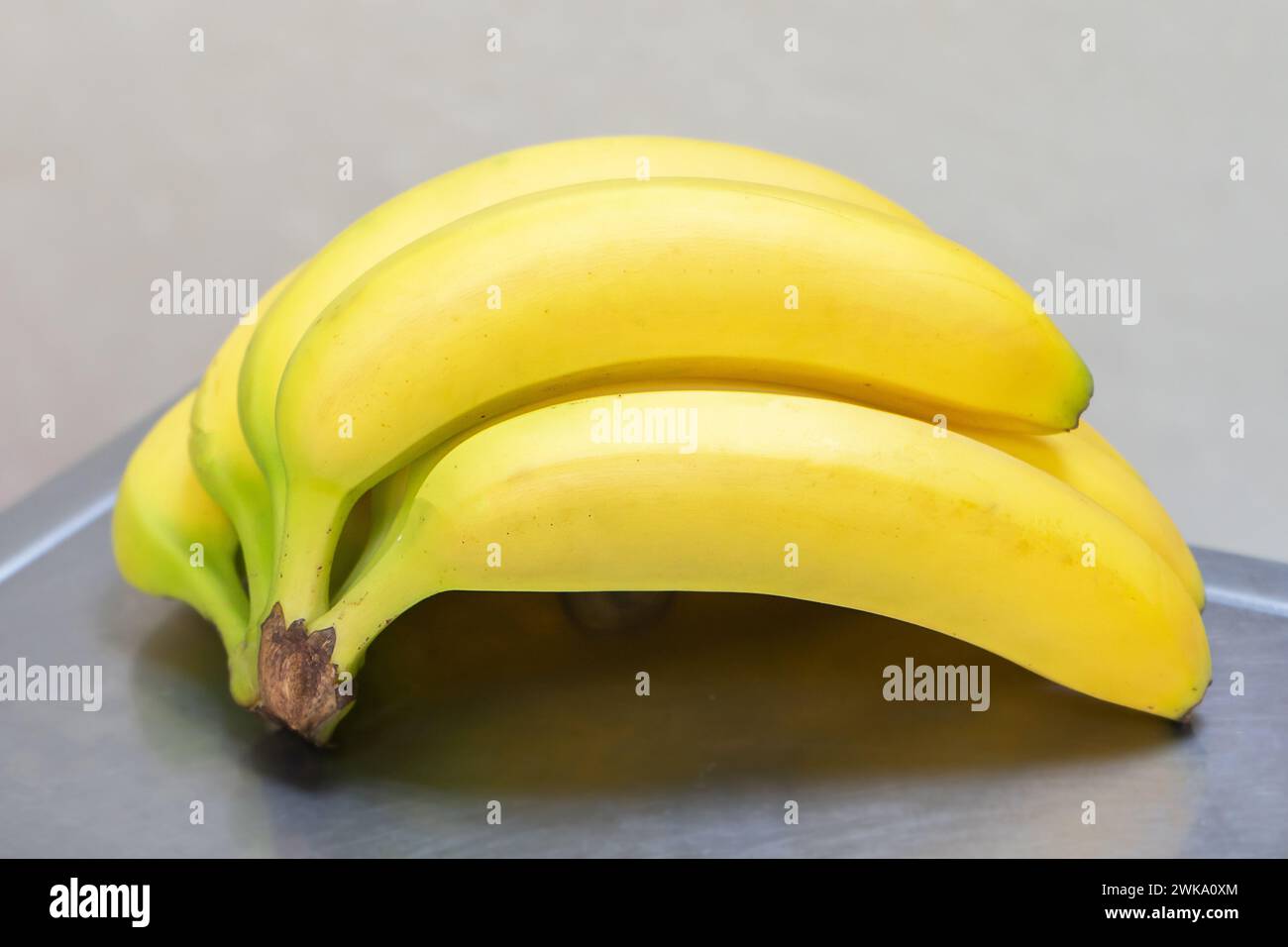 Bananas leaf isolated in white hi-res stock photography and images - Alamy