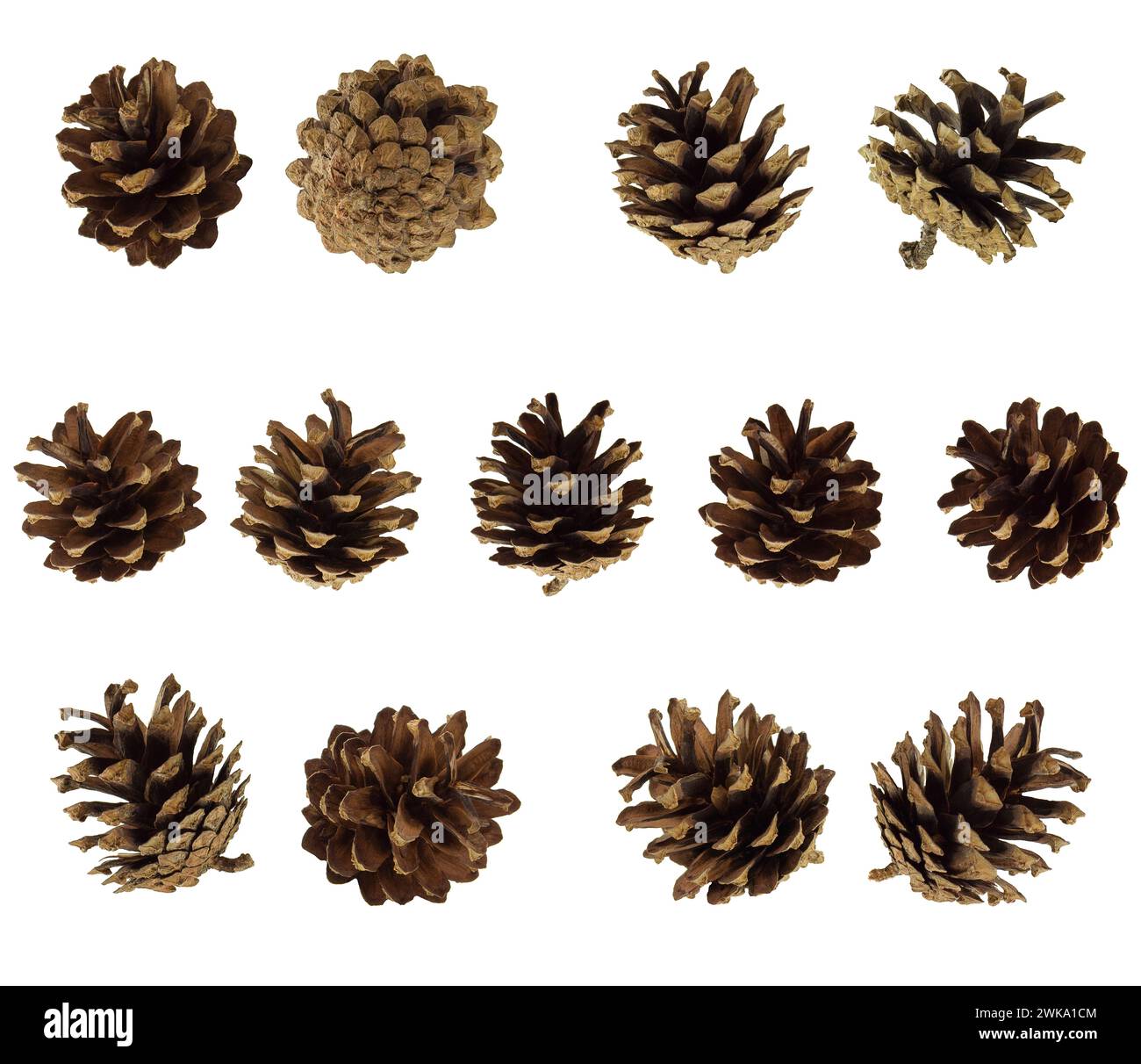 New years elements set Cut Out Stock Images & Pictures - Alamy