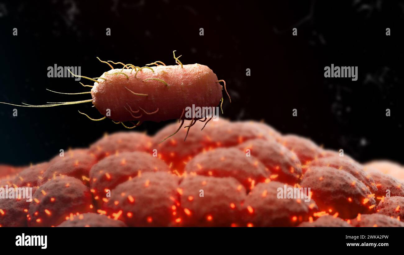 Dive into a microscopic world where bacteria and cells intertwine in a ...