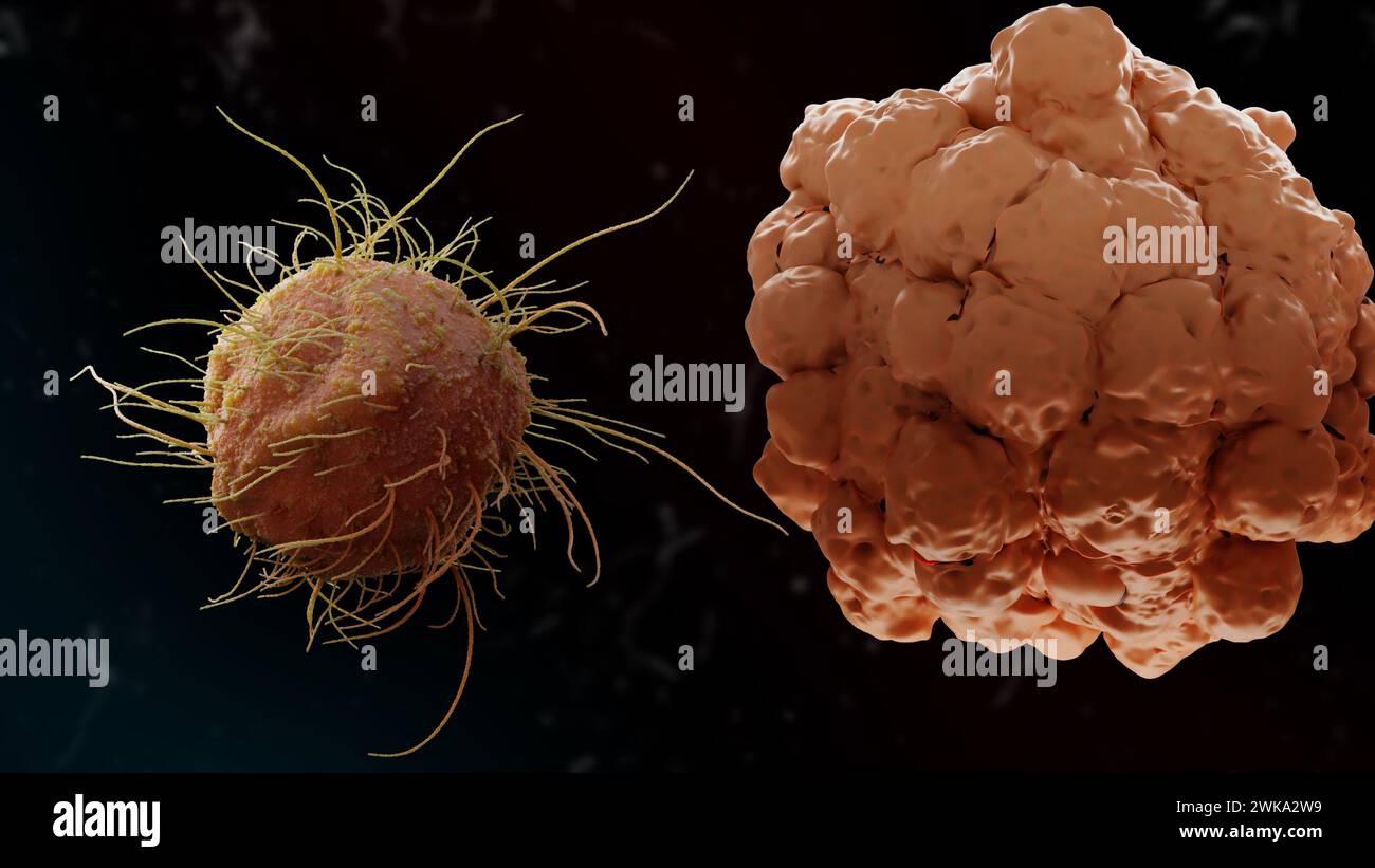 A dynamic 3D animation unfolds a microscopic battle between viruses and ...