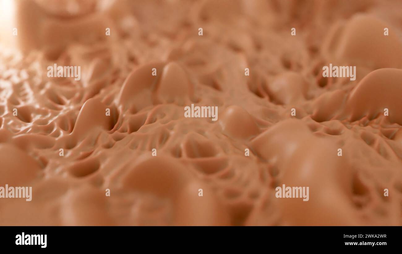 "Skin Tissue and Skin Cell 2" could imply a visual representation ...