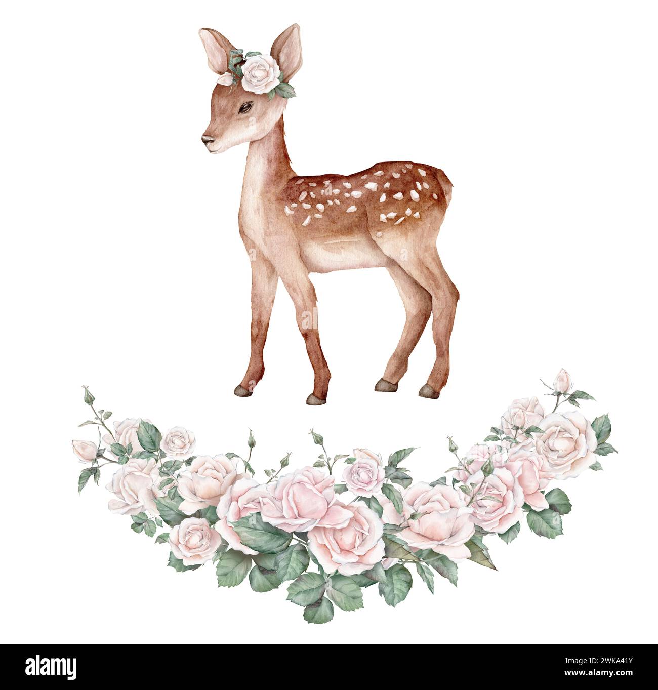 Watercolor baby deer and white roses. Spotted deer isolated on white ...