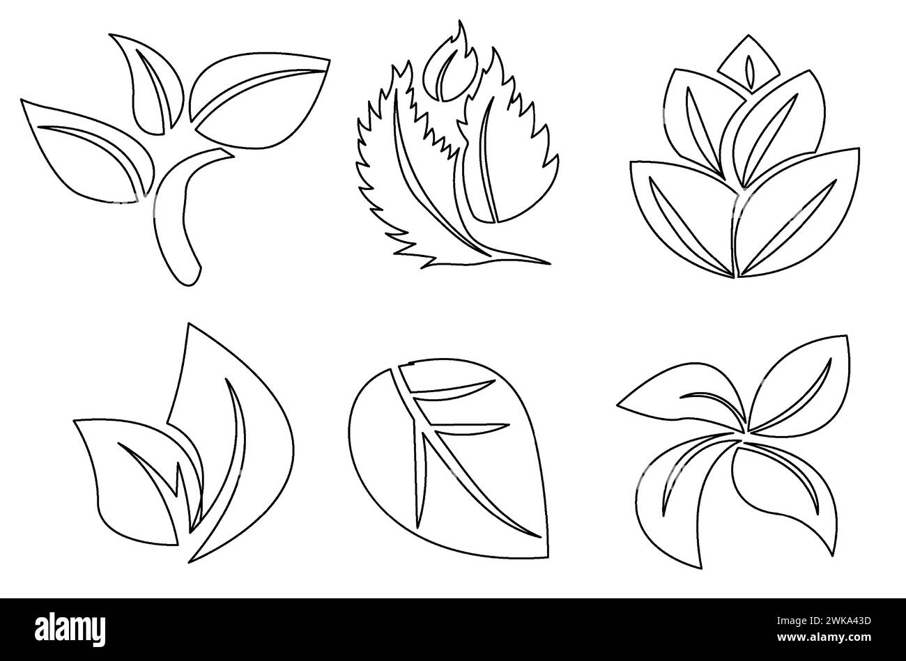 Vector illustration featuring a collection of six different leaf ...