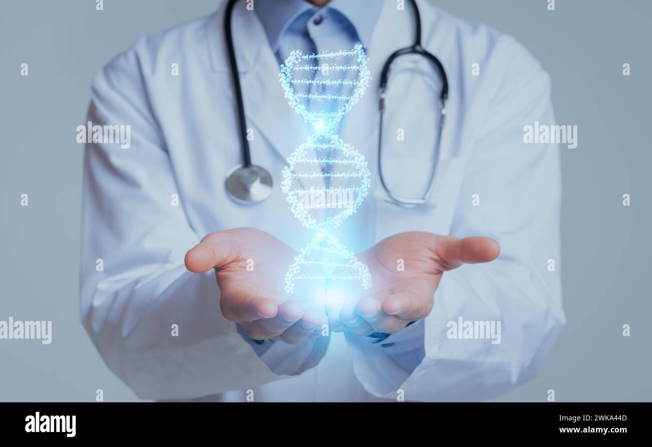 Cropped of medical doctor geneticist hands holding DNA hologram Stock ...
