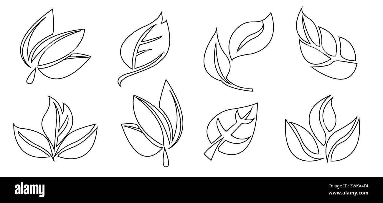 Vector illustration featuring a collection of six different leaf ...