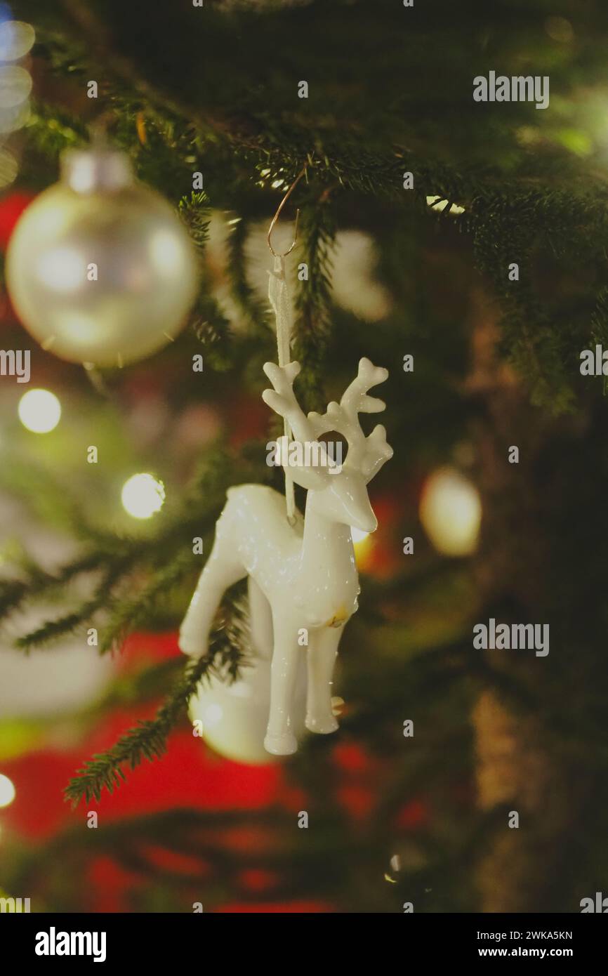 Snow christmas reindeer tree hi-res stock photography and images - Alamy