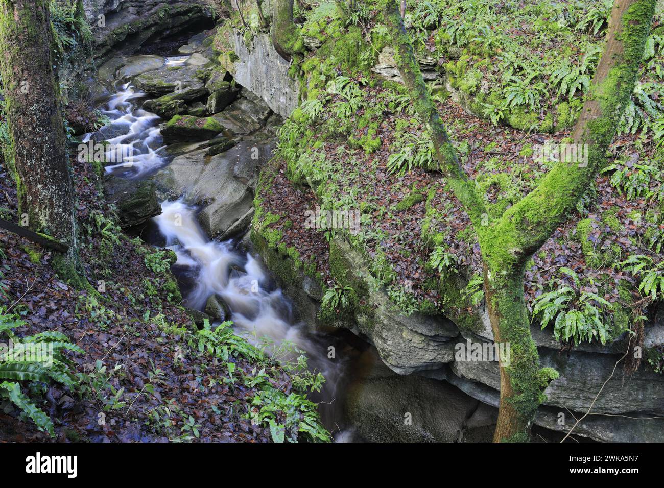 View over How Stean Gorge, Stean village, Nidderdale, North Yorkshire ...