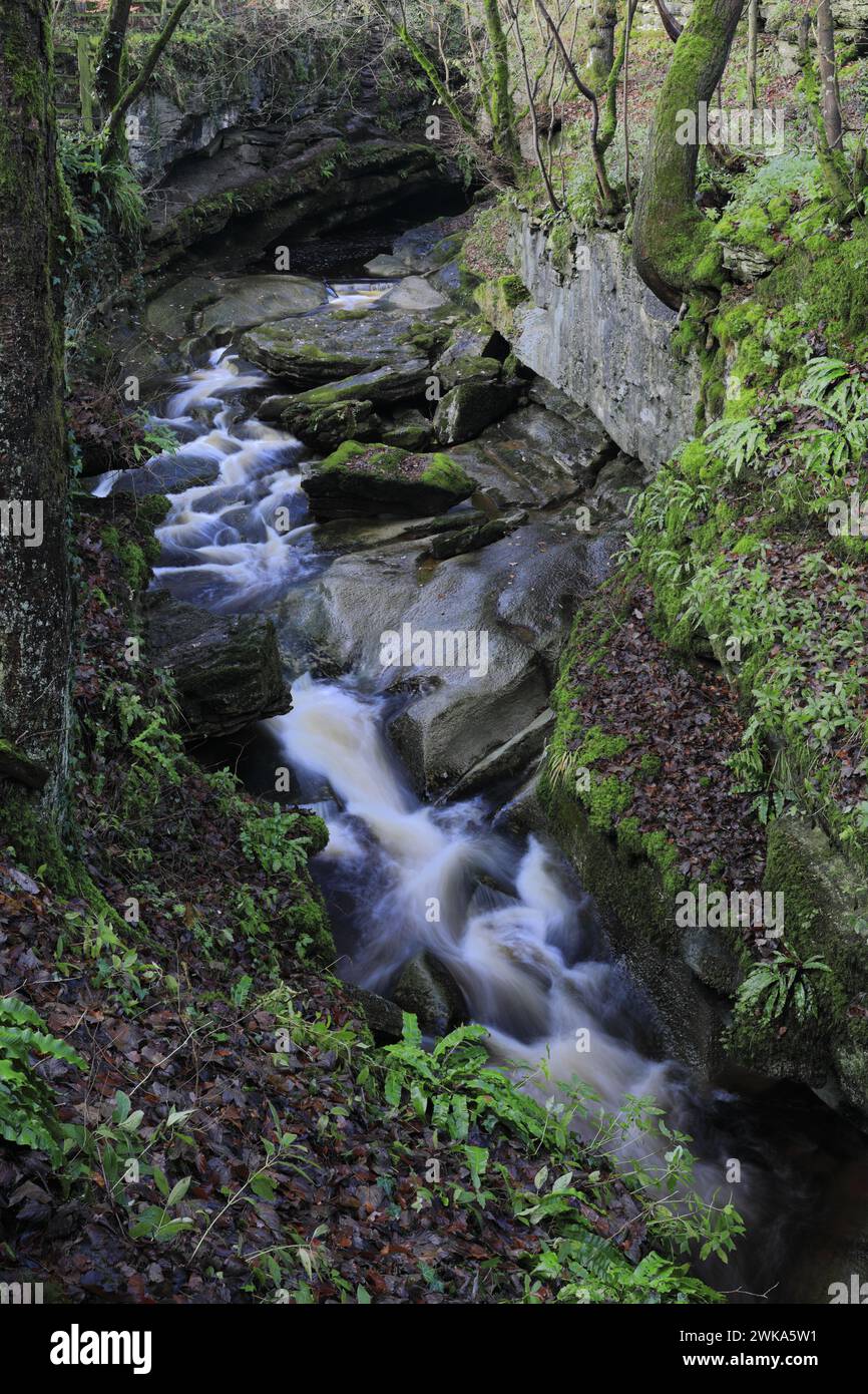 View over How Stean Gorge, Stean village, Nidderdale, North Yorkshire ...