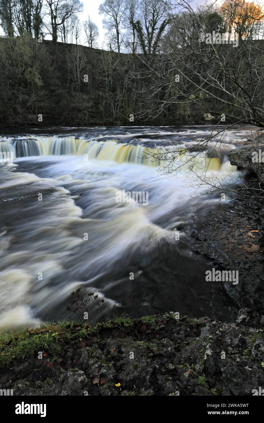 Autumn, the Upper falls of Aysgarth Falls, River Ure, Wensleydale ...