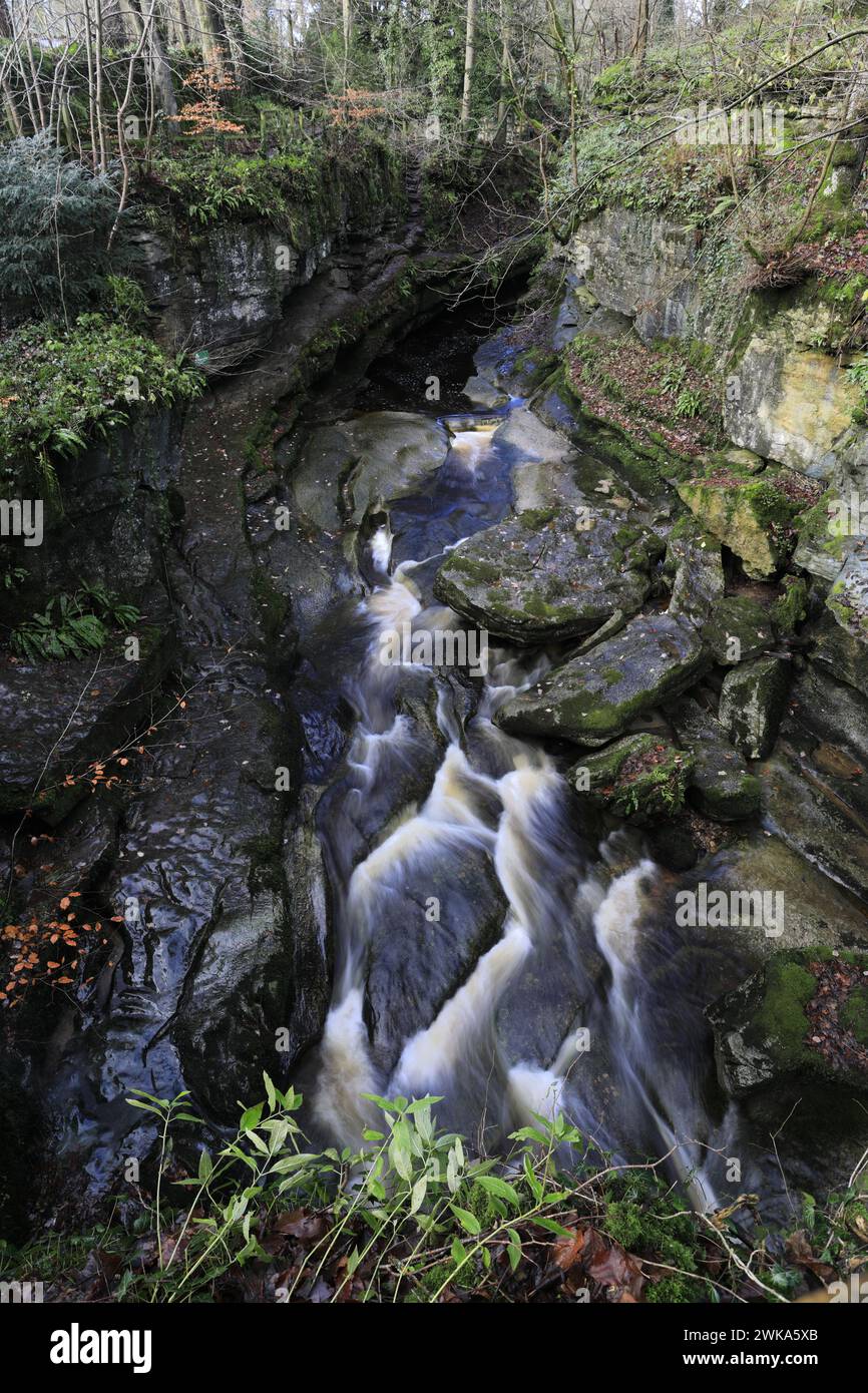 View over How Stean Gorge, Stean village, Nidderdale, North Yorkshire ...