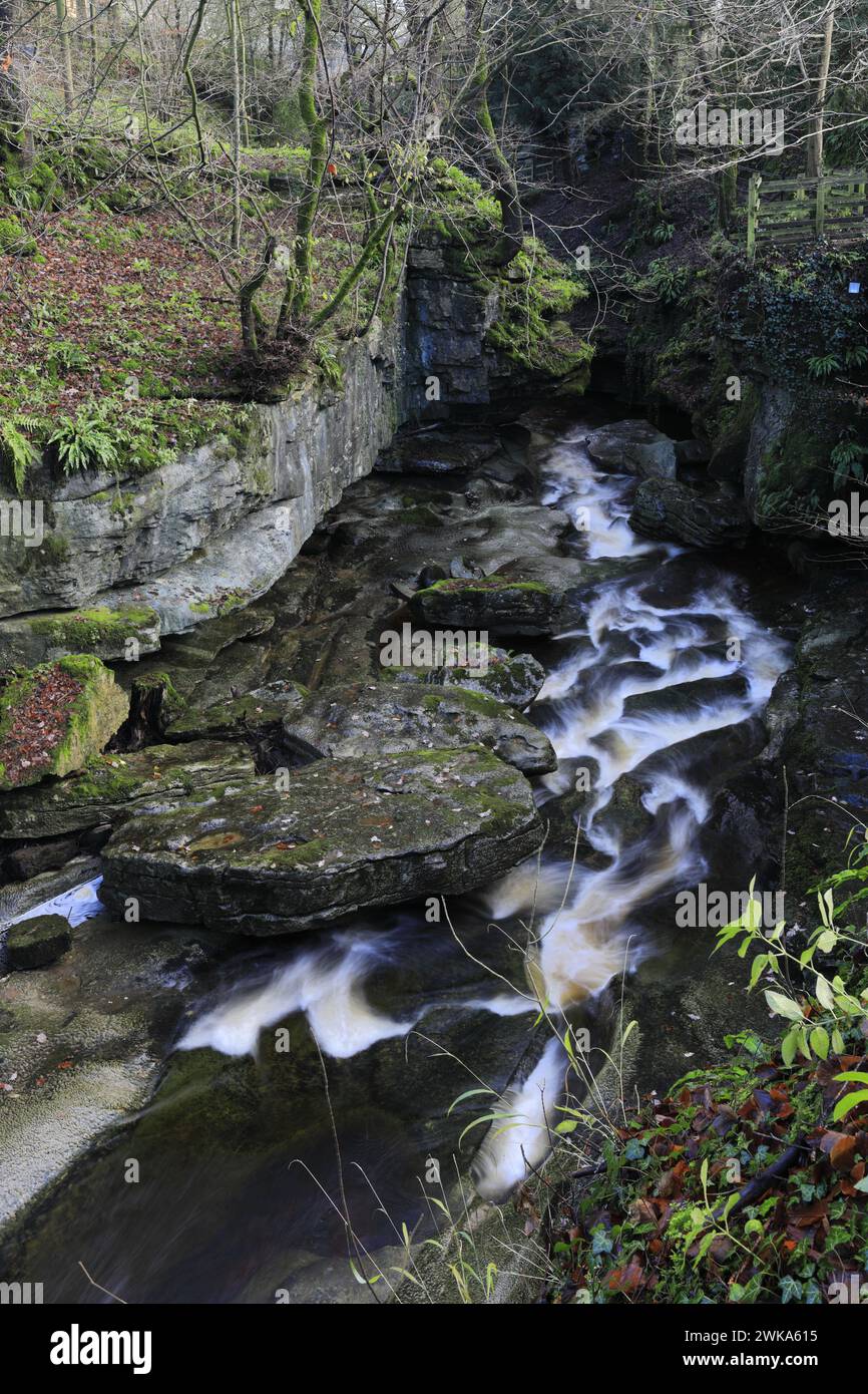 View over How Stean Gorge, Stean village, Nidderdale, North Yorkshire ...