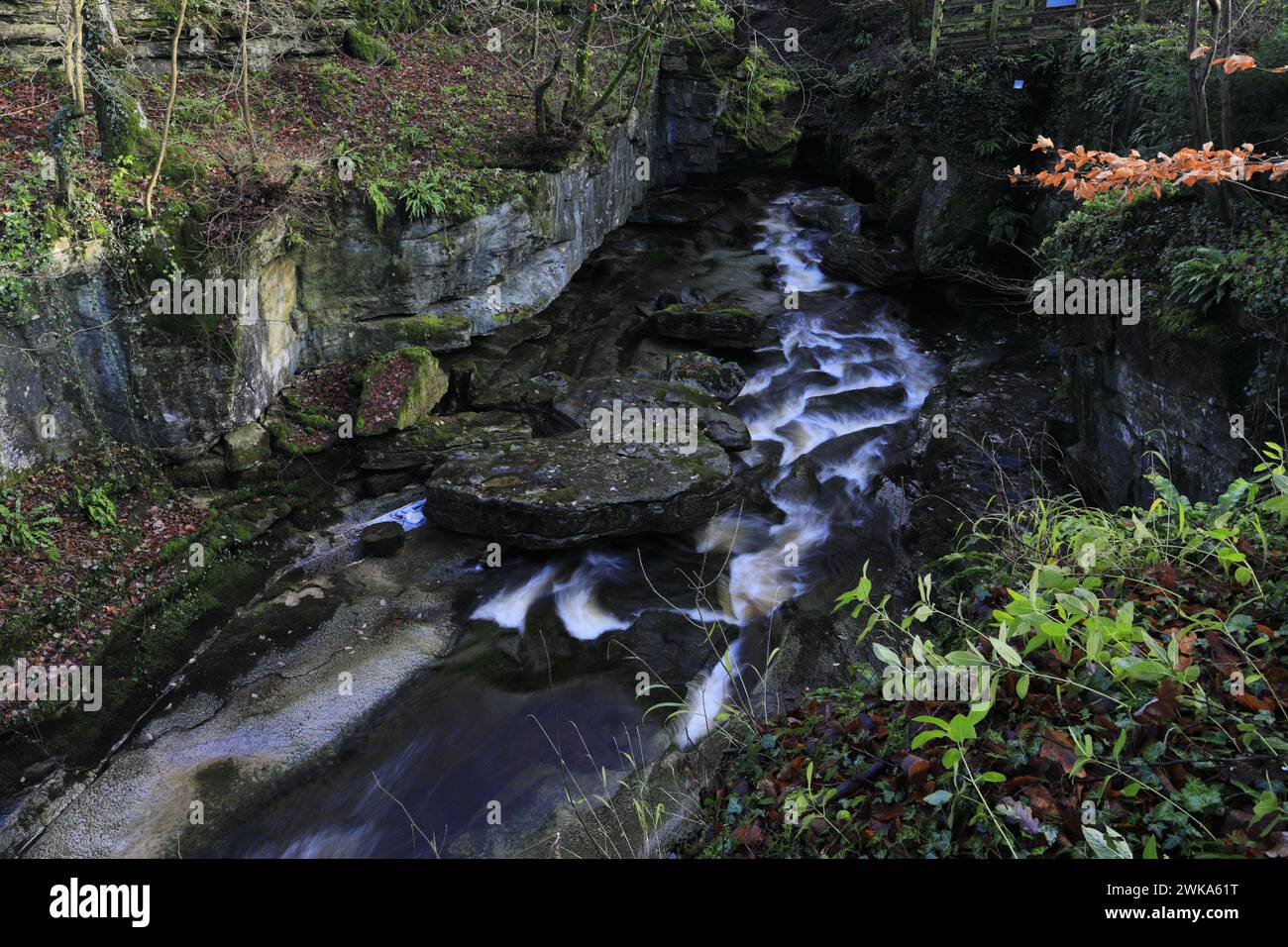 View over How Stean Gorge, Stean village, Nidderdale, North Yorkshire ...