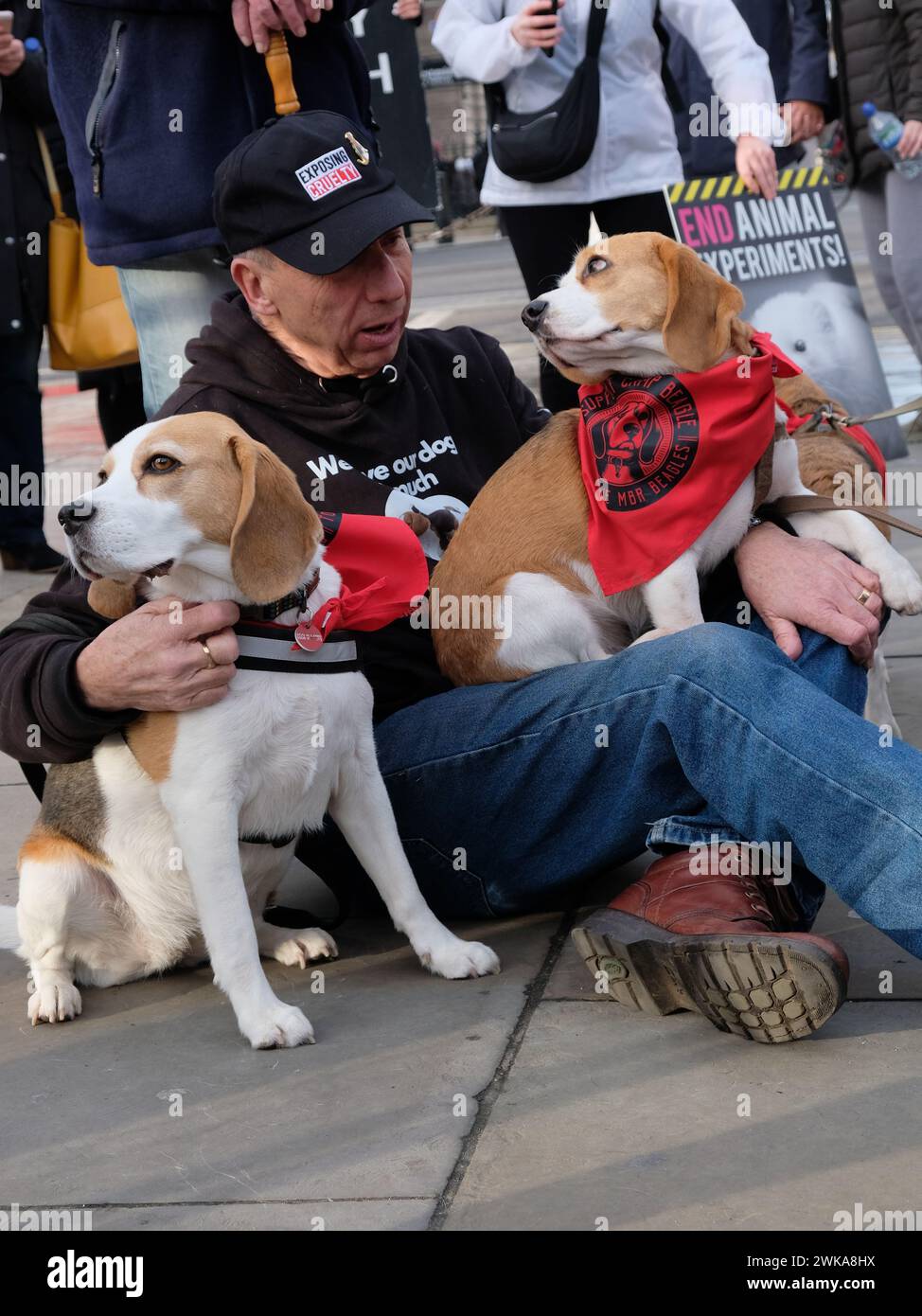 Animal testing debate hi-res stock photography and images - Alamy