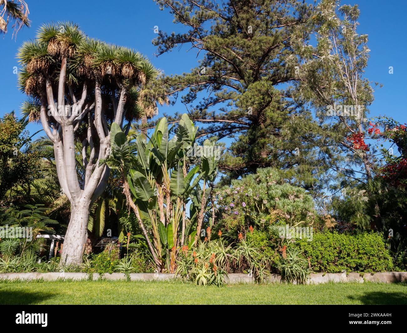 Puero de la cruz hi-res stock photography and images - Alamy