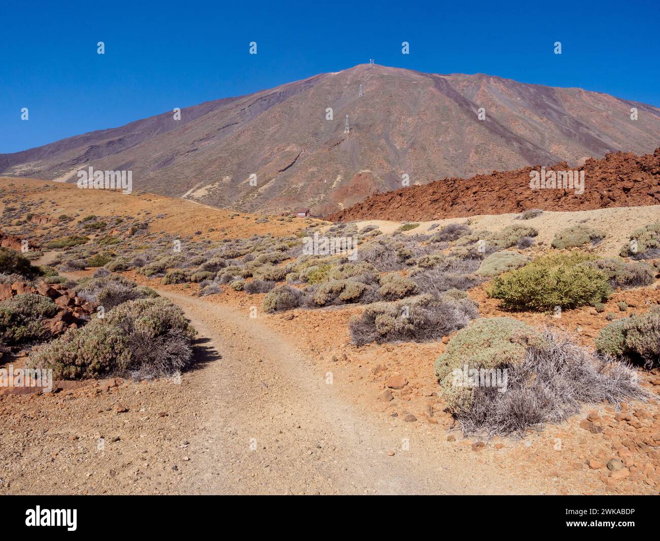 Mount Teide volcano highest peak in Spain from Las Canadas del Teide ...