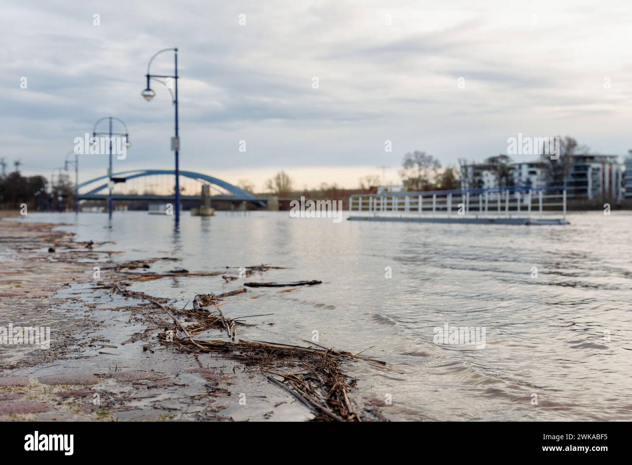 Flooded riverside Magdeburg embankment promenade Submerged street lamp posts Bridge Background ...