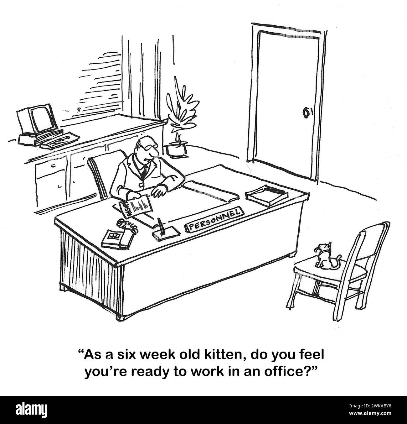 BW cartoon of a 6 week old kitten applying for an office job, it is ...