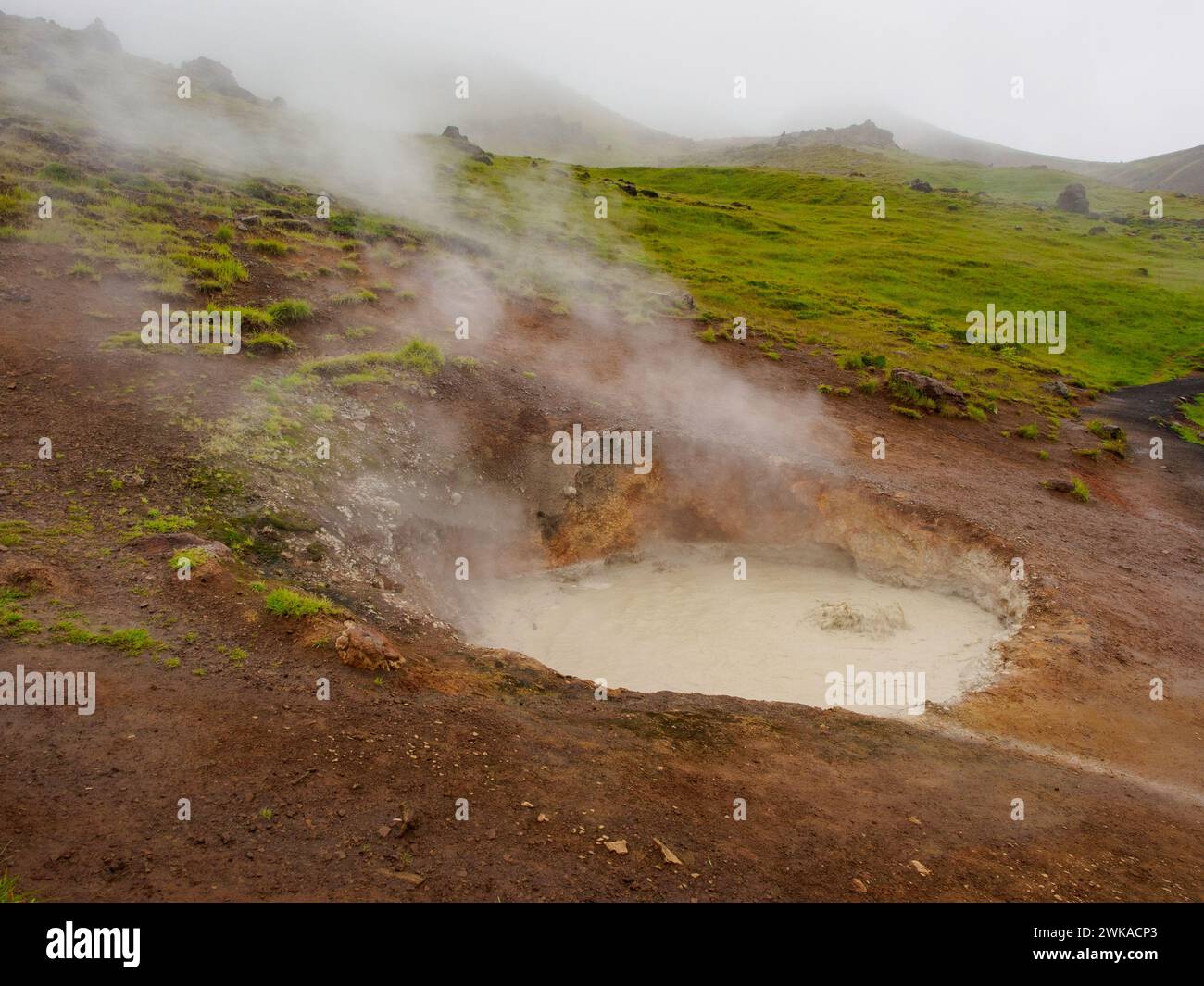 Boiling mud pool in Reykjadalur valley, Iceland Stock Photo - Alamy