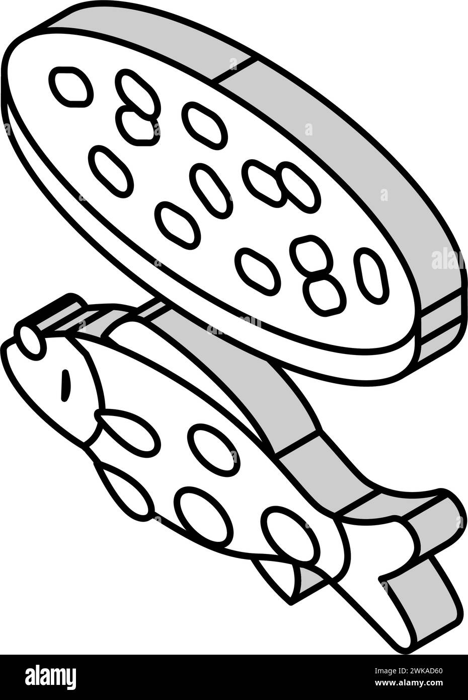 streptococcus iniae fish isometric icon vector. streptococcus iniae ...